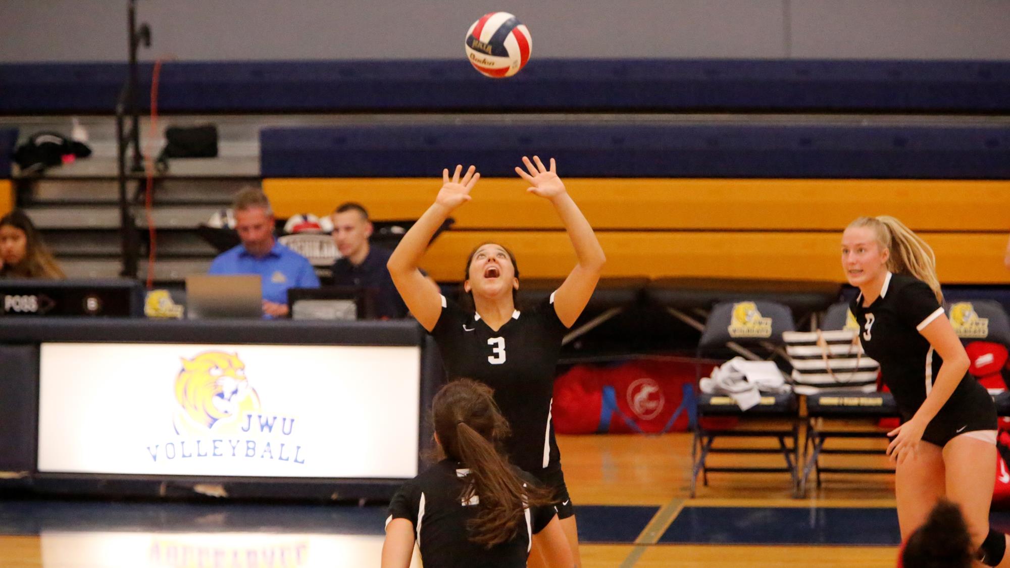 Sarah Castillo - 2019 - Women's Volleyball - Southeastern University ...