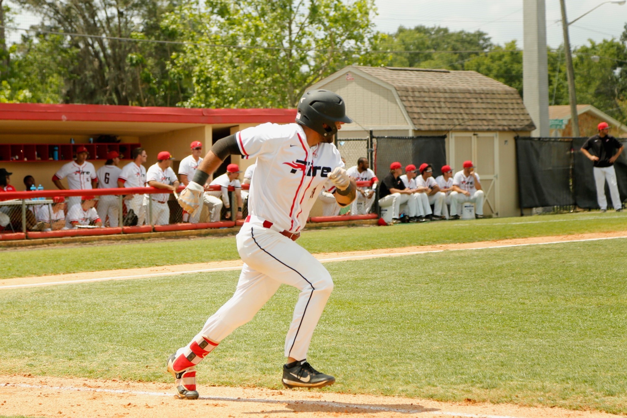 Fire to Face Tigers in Regular Season Finale - Southeastern University ...