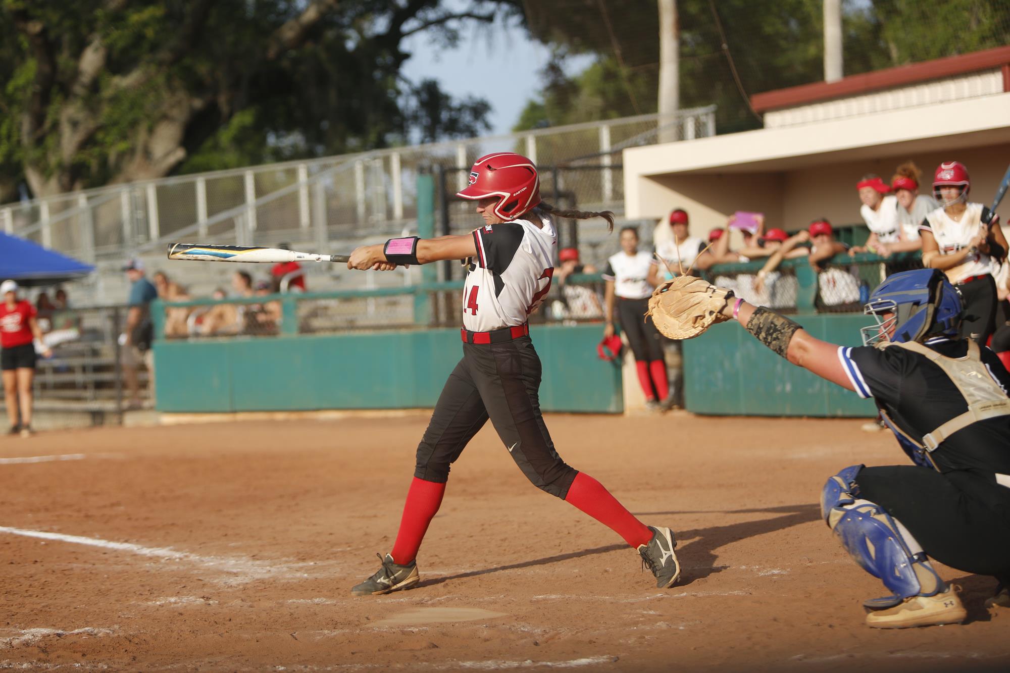Softball Heads to Lawrenceville for the NAIA Opening Round ...