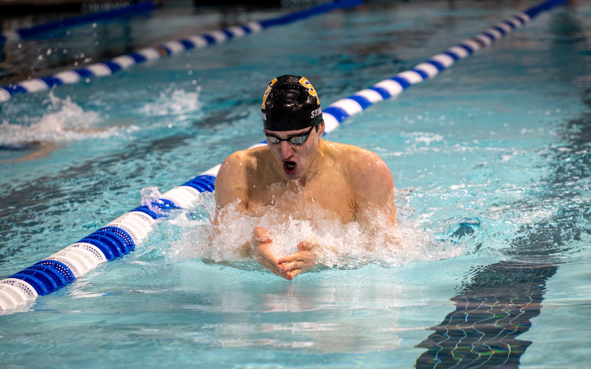 Stingers Make a Splash at the Miami Valley Conference Tournament ...
