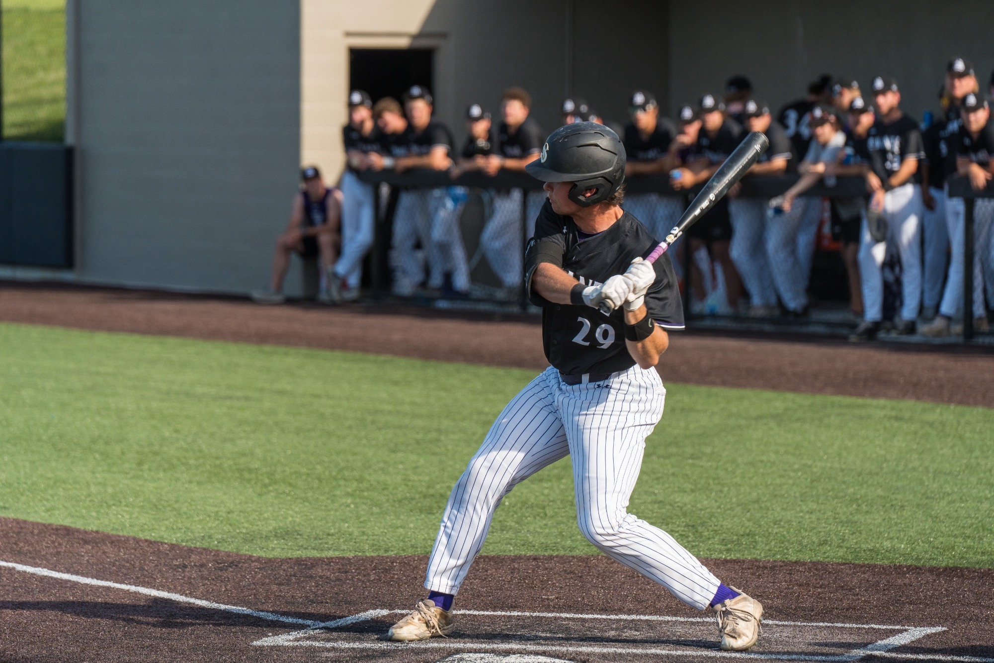 Meet the New Athletic Staff: A Look at the Newest Additions to Our Team ...