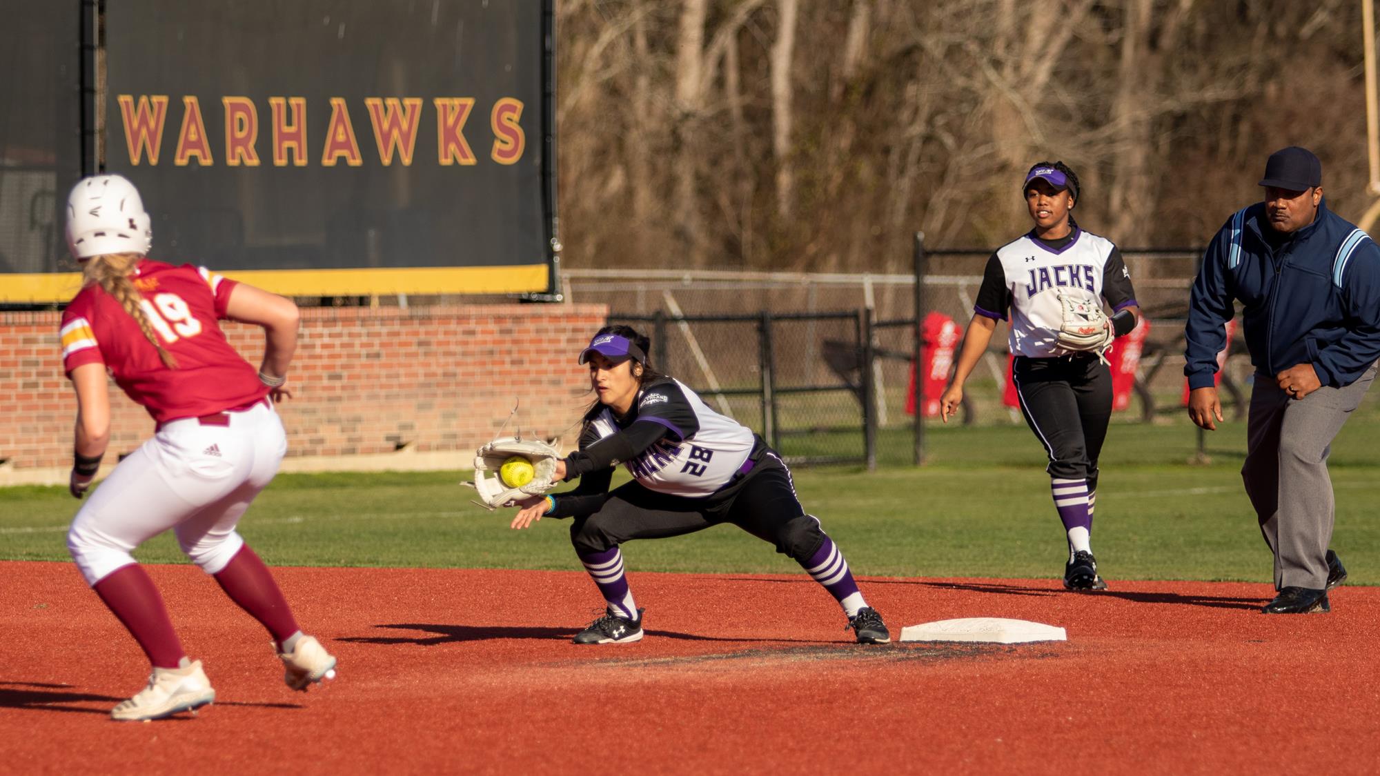 Stephen F Austin University