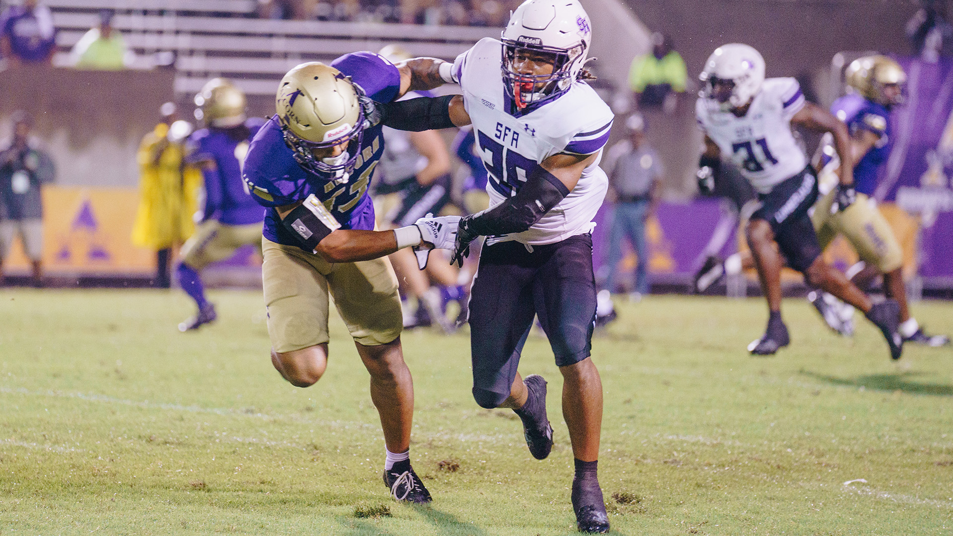 Stephen F Austin University