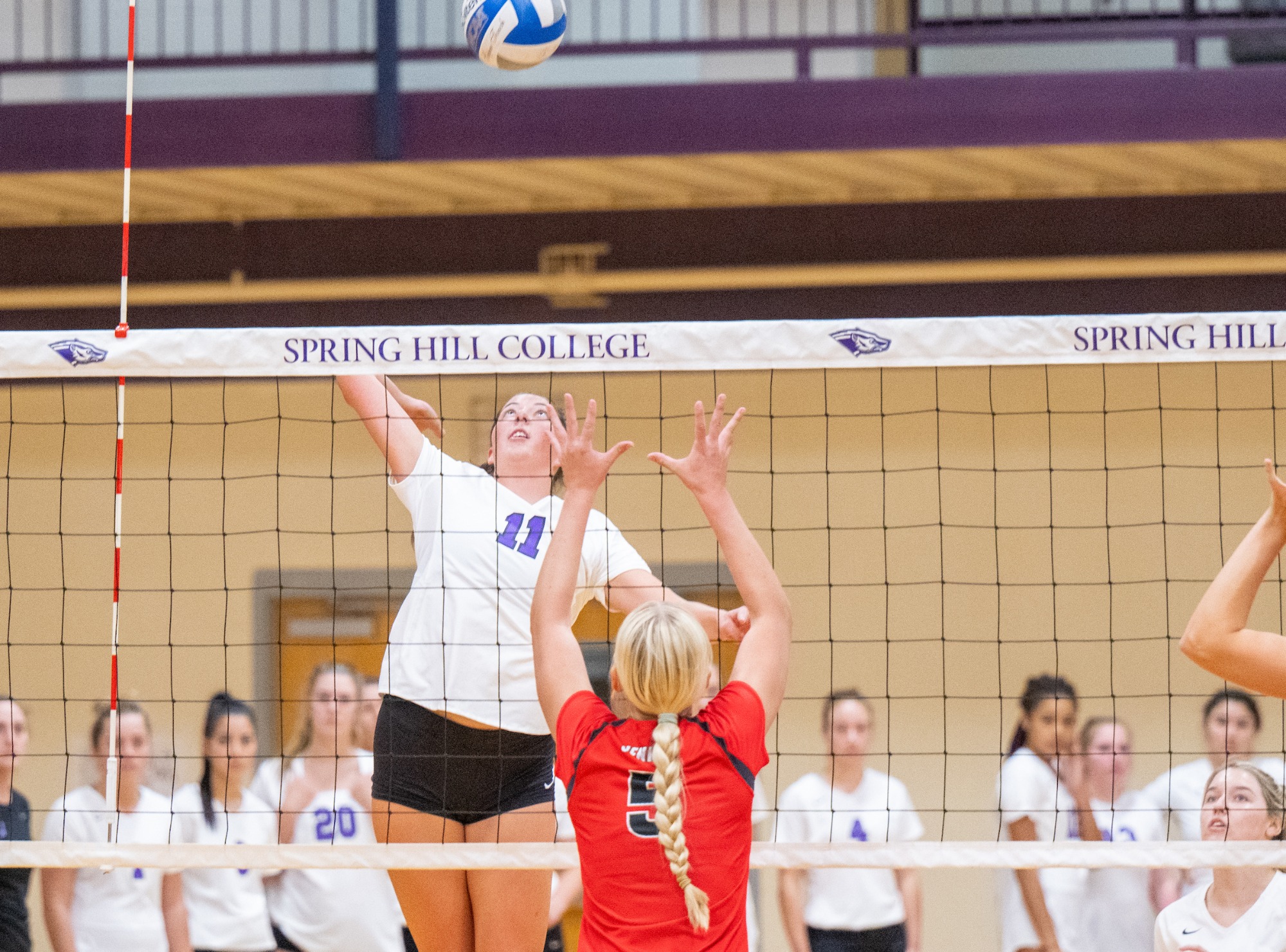 Linnea Beger - Women's Volleyball - Spring Hill College Athletics