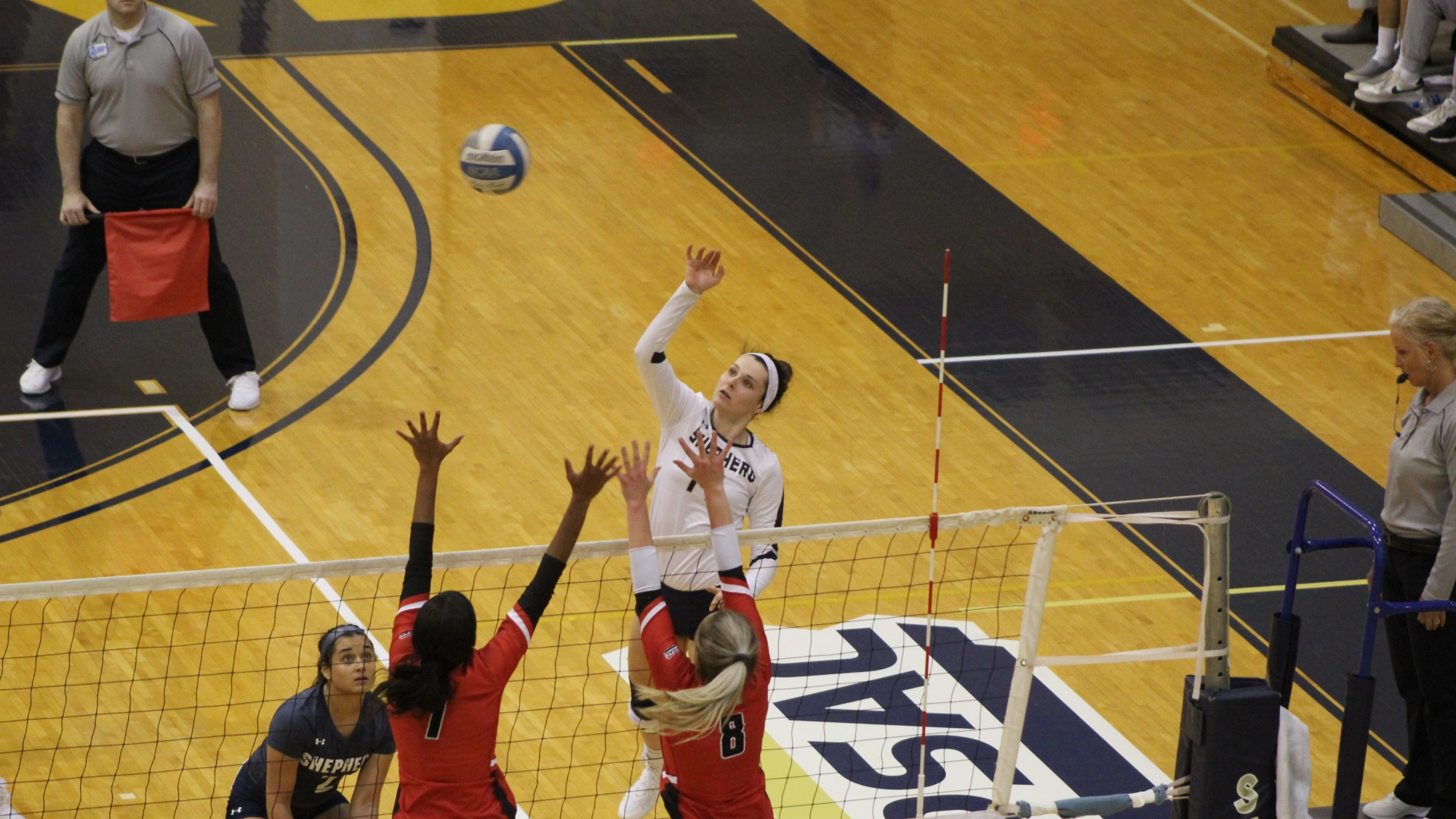 Peyton Lindblad - Women's Volleyball - Shepherd University Athletics