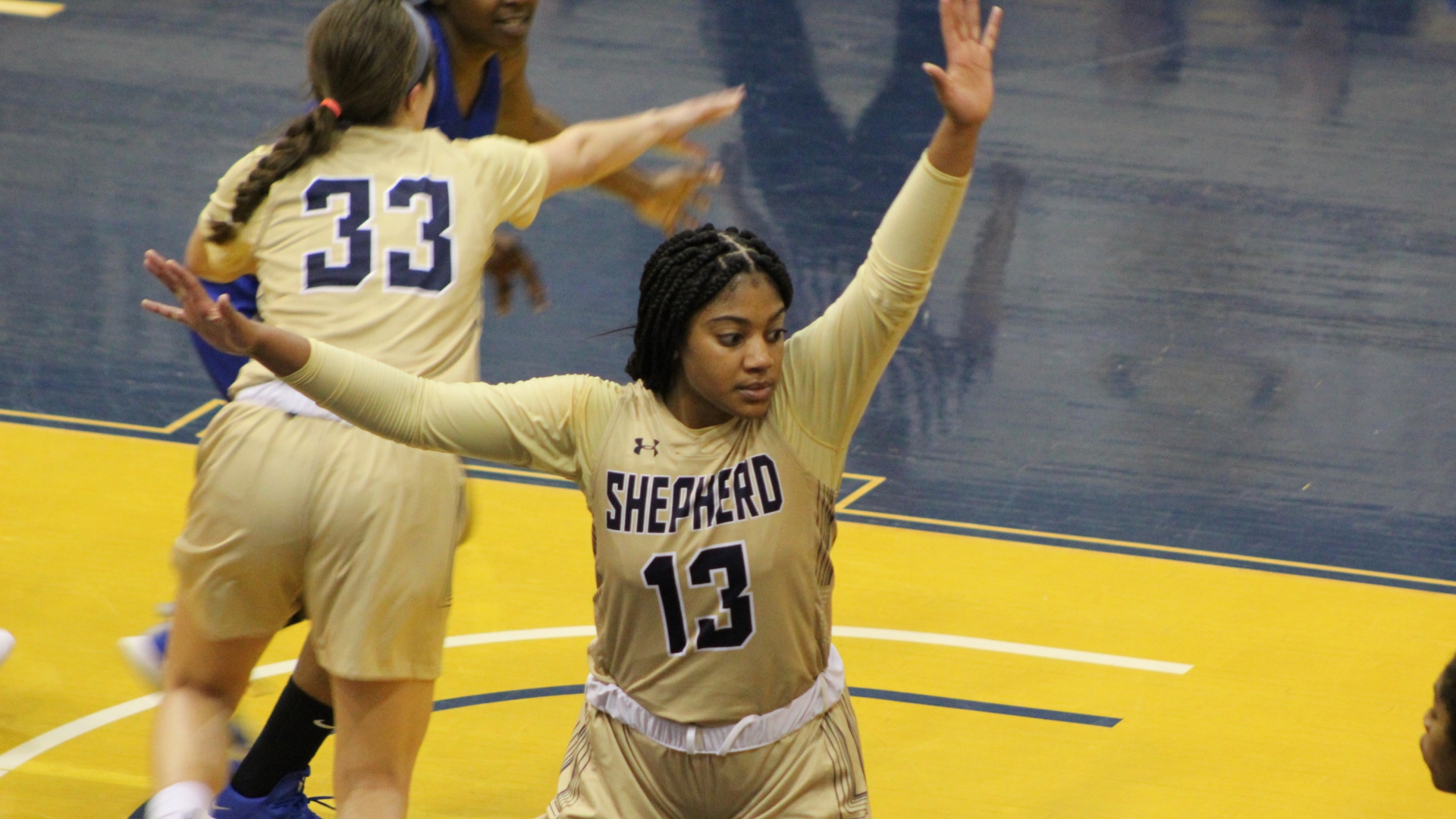 Kayla Tibbs - Women's Basketball - Shepherd University Athletics