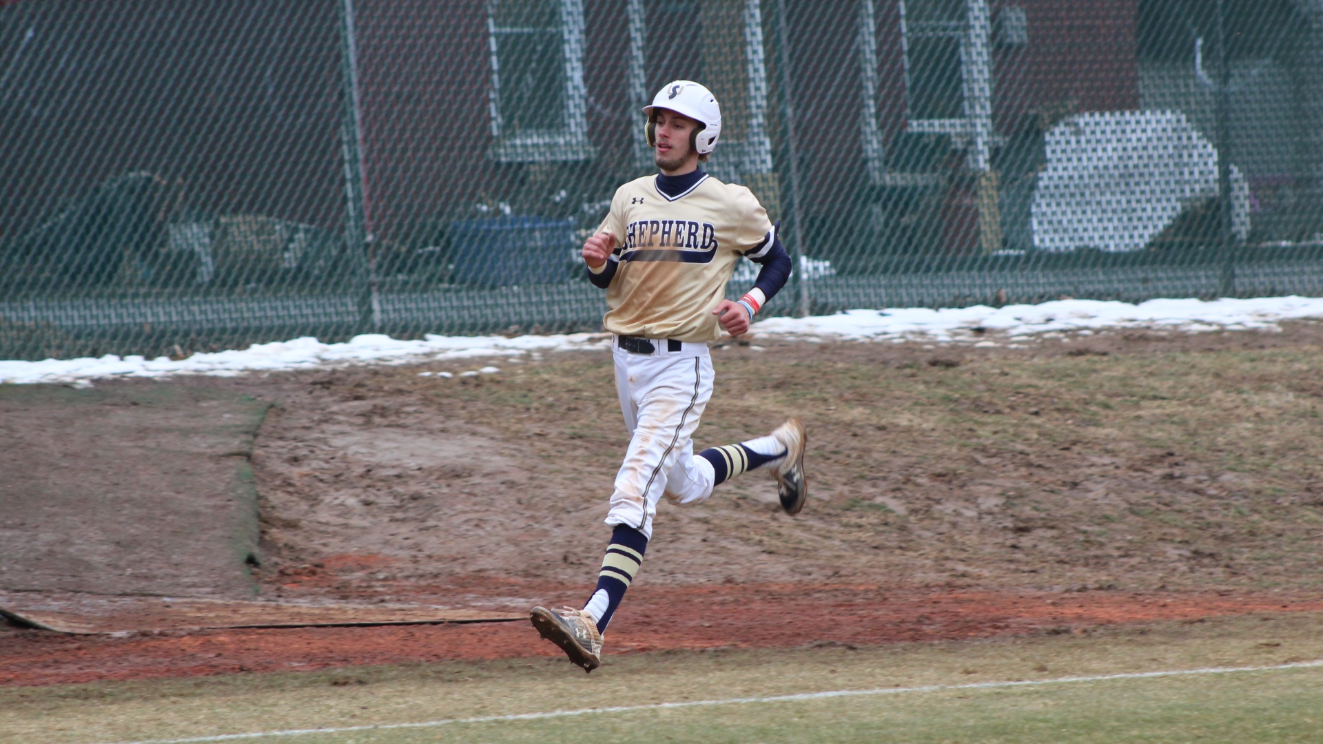 Trenton Burgreen - Baseball - Shepherd University Athletics