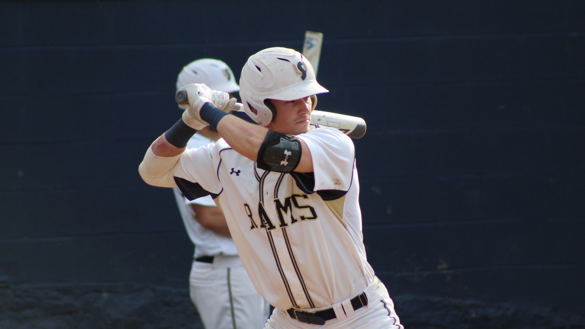 Brenton Doyle - Baseball - Shepherd University Athletics