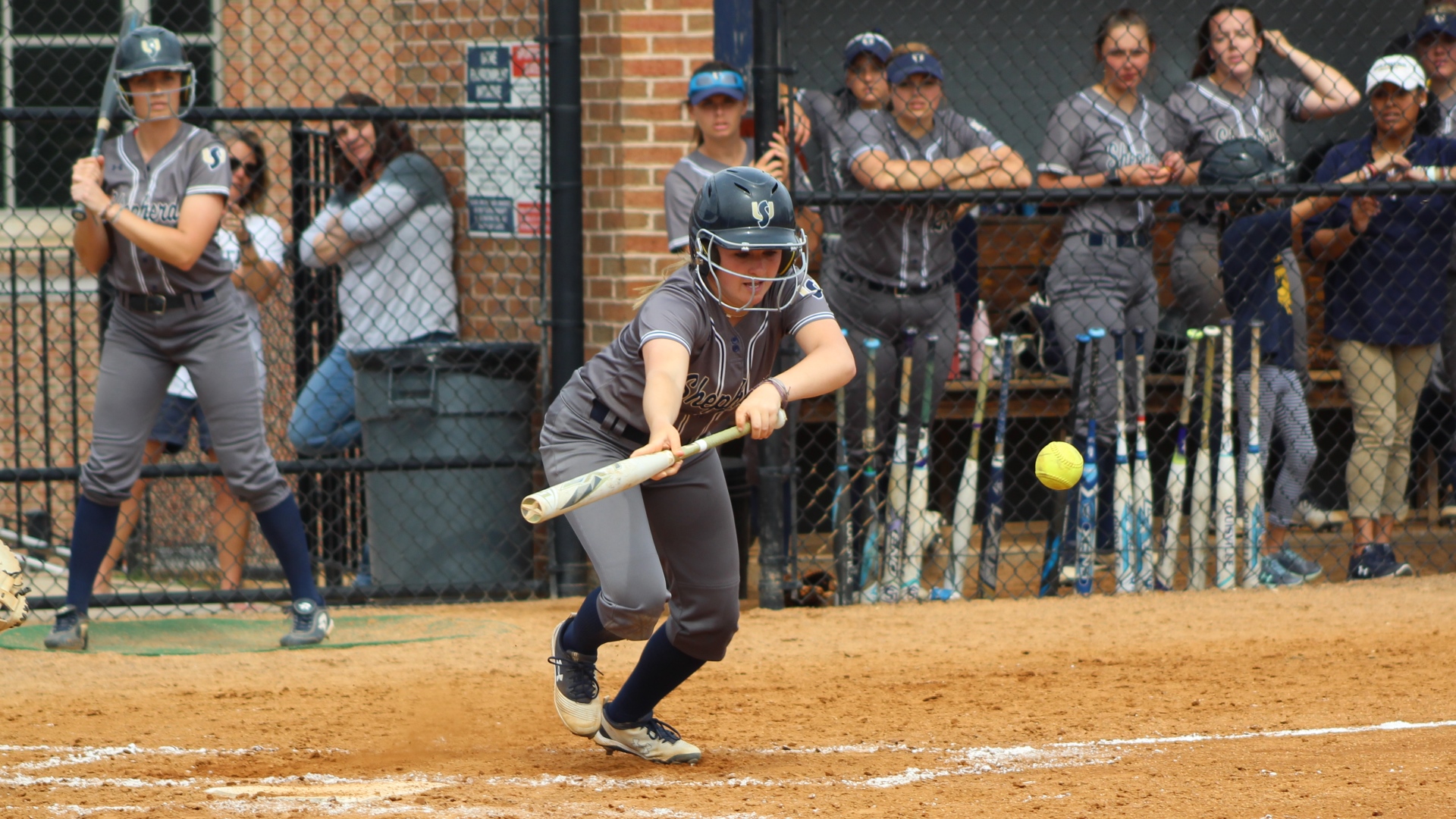 Leann Brown - Softball - Shepherd University Athletics