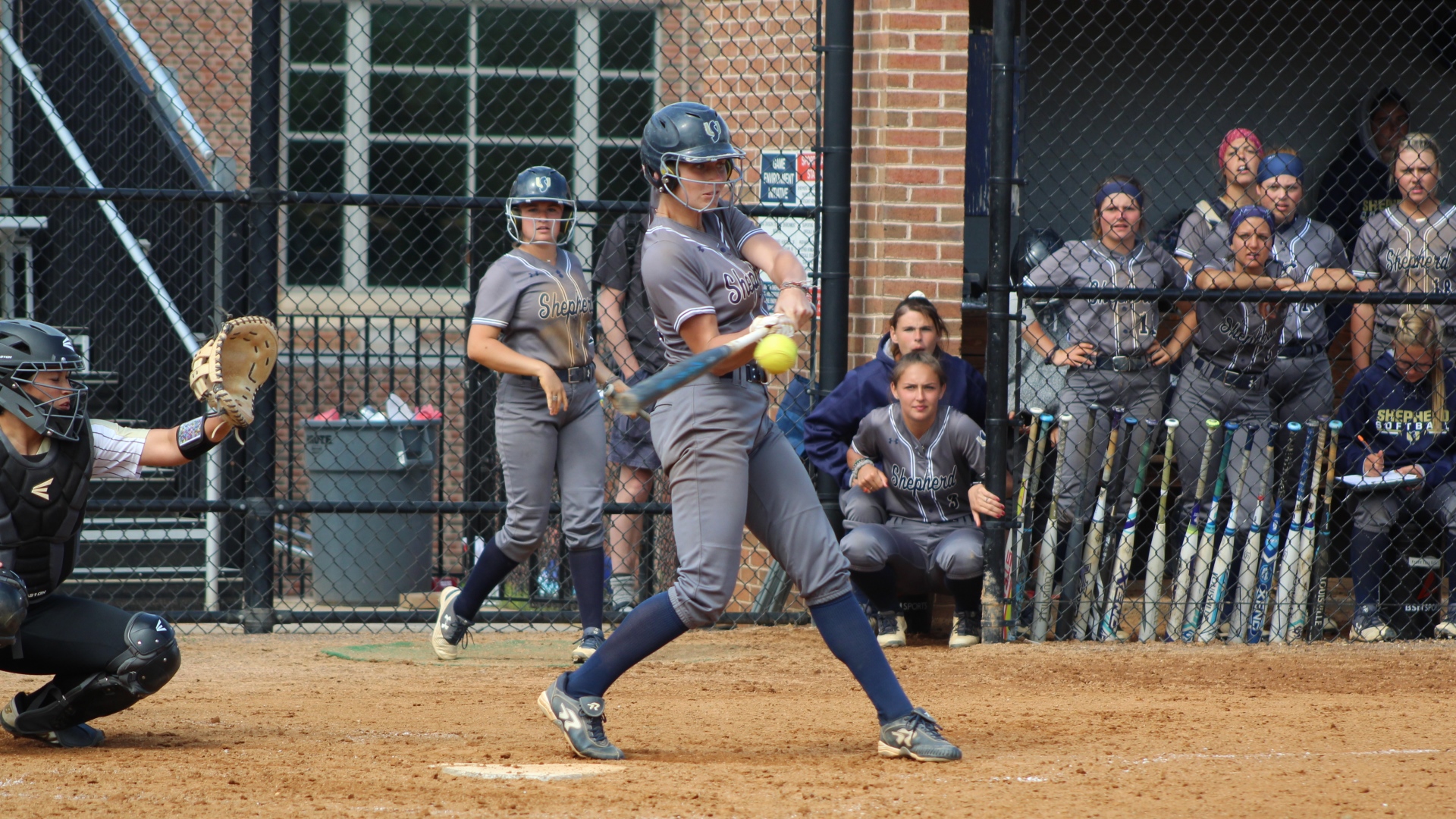 Lori Sturgill - Softball - Shepherd University Athletics