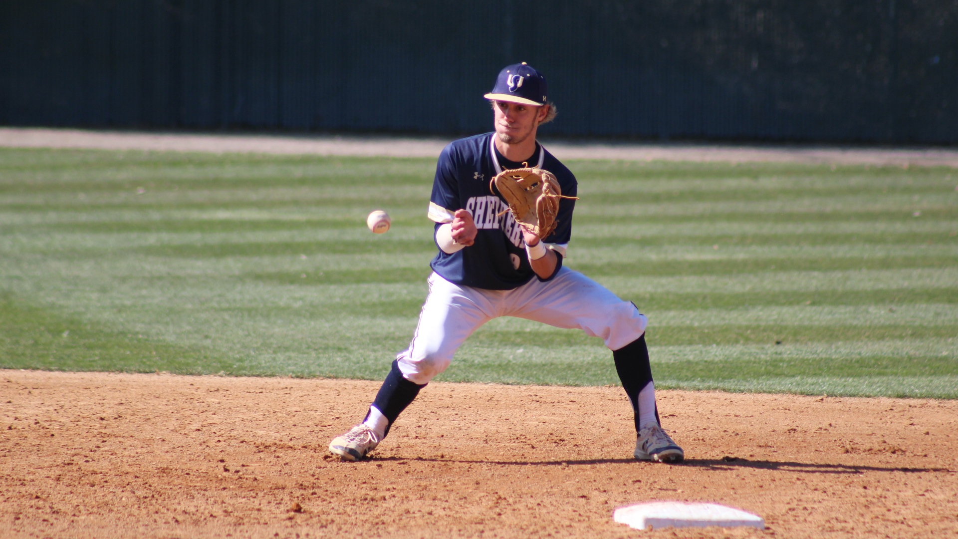 Trenton Burgreen - Baseball - Shepherd University Athletics