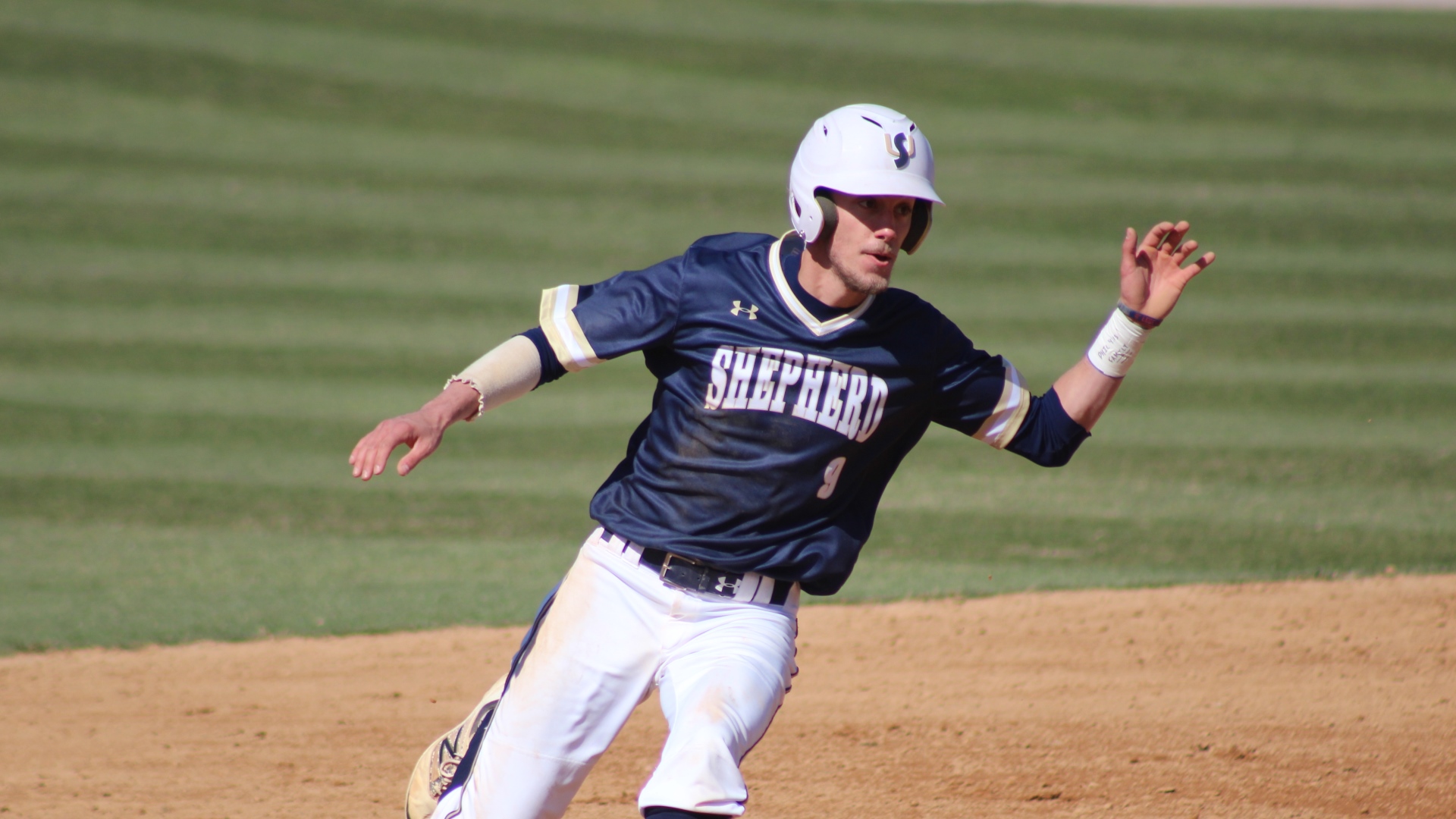 Trenton Burgreen - Baseball - Shepherd University Athletics