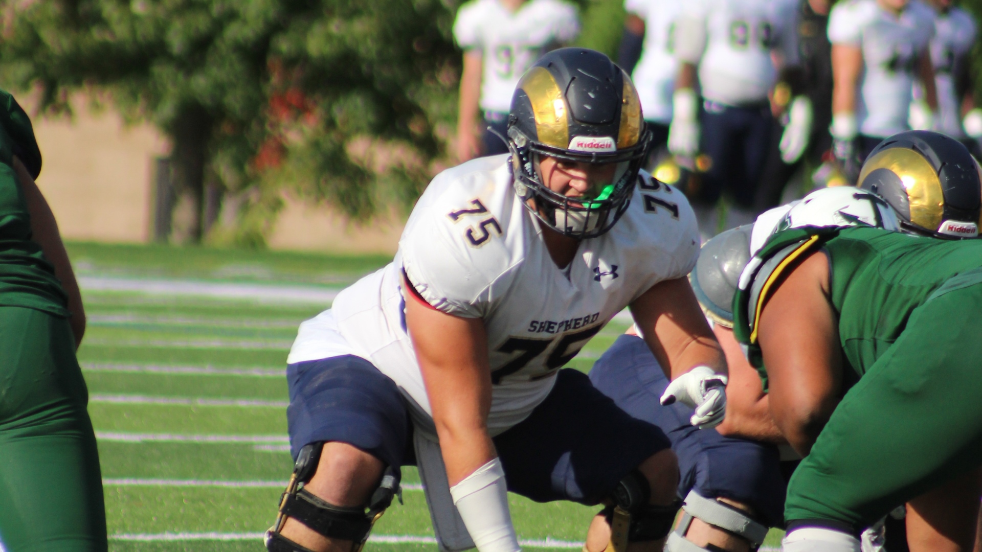 Evan Ostrow - Football - Shepherd University Athletics