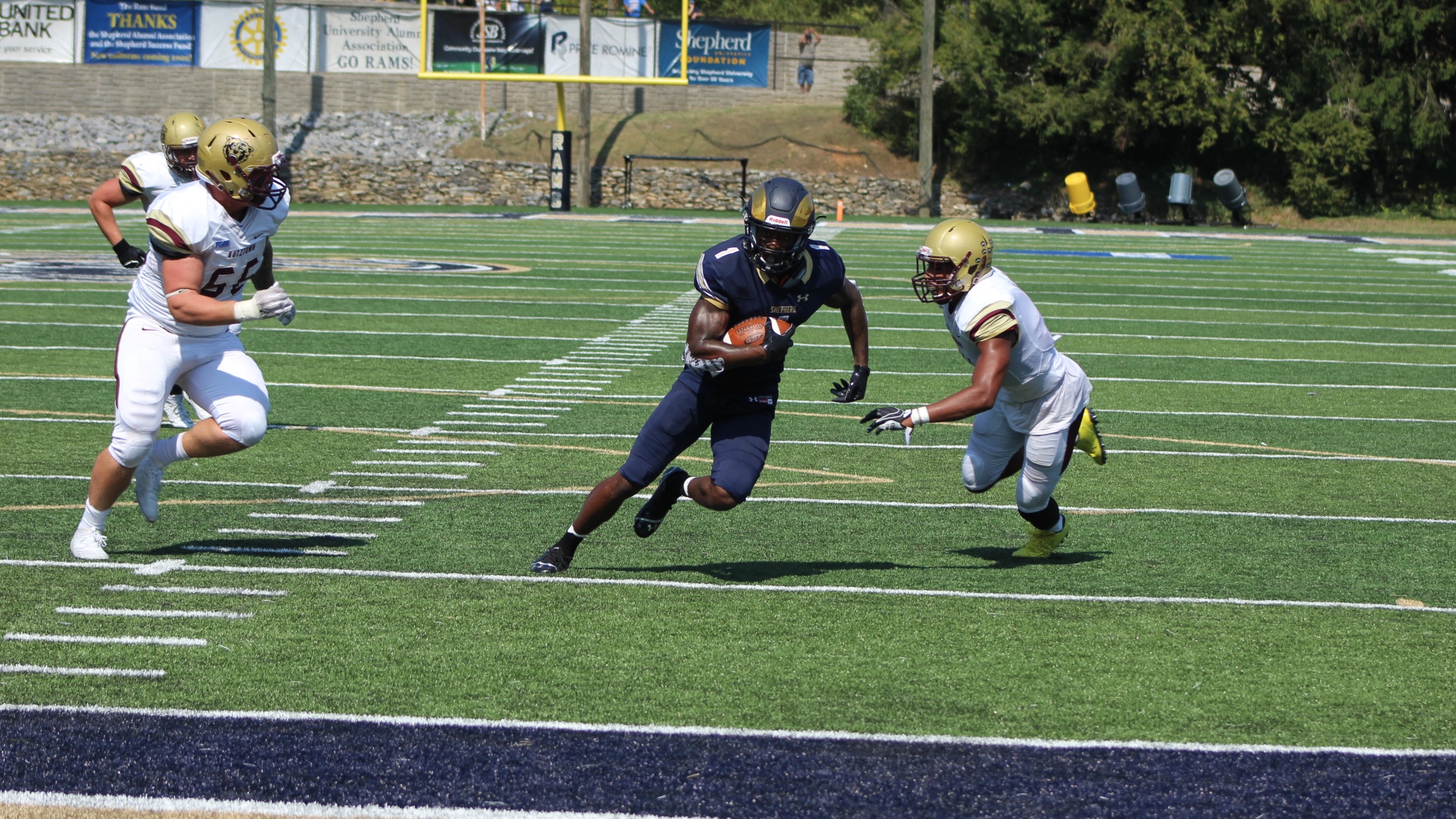 Devin Phelps - Football - Shepherd University Athletics