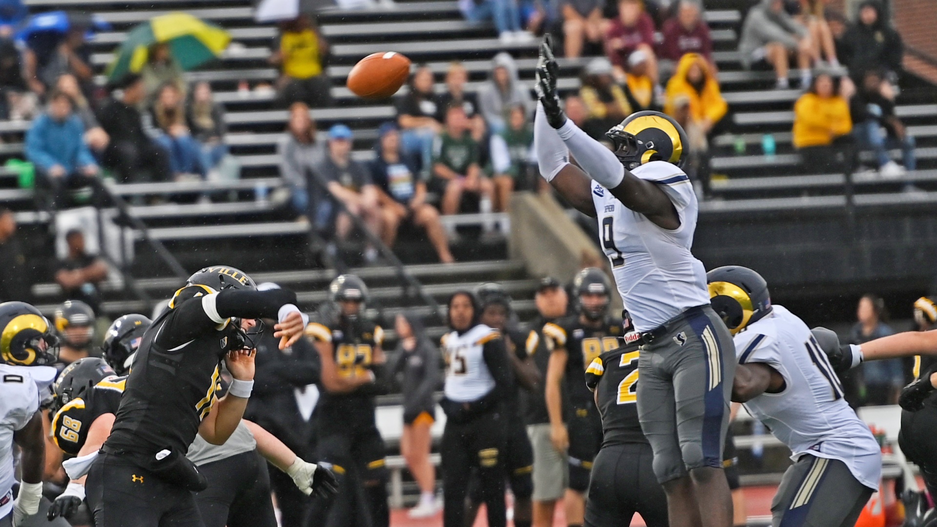 Malik Holloway - Football - Shepherd University Athletics