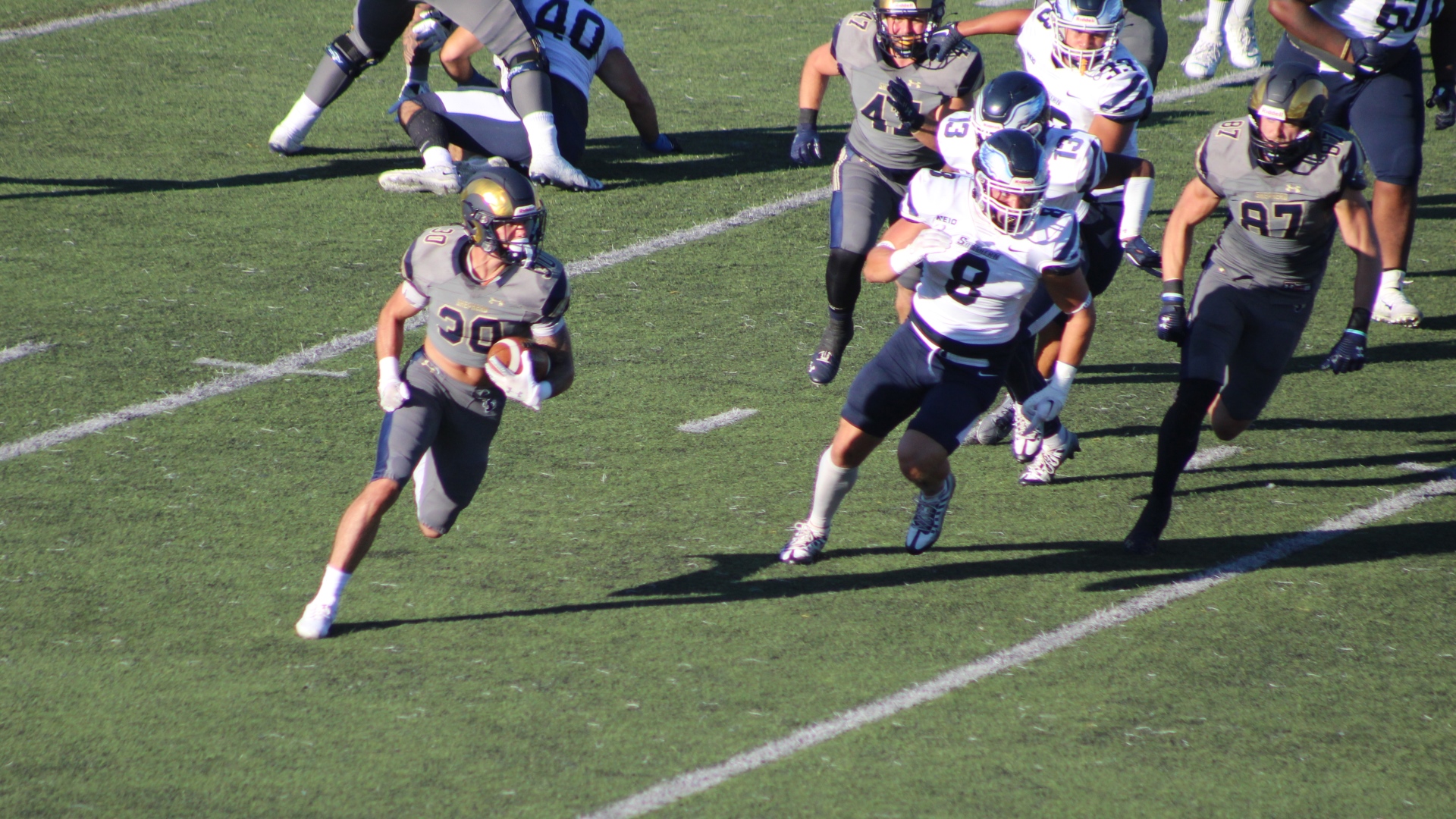 Shepherd Football Downs Southern Connecticut State - Shepherd ...