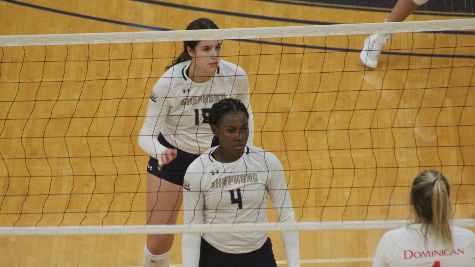 Riley Moreno - Women's Volleyball - Shepherd University Athletics