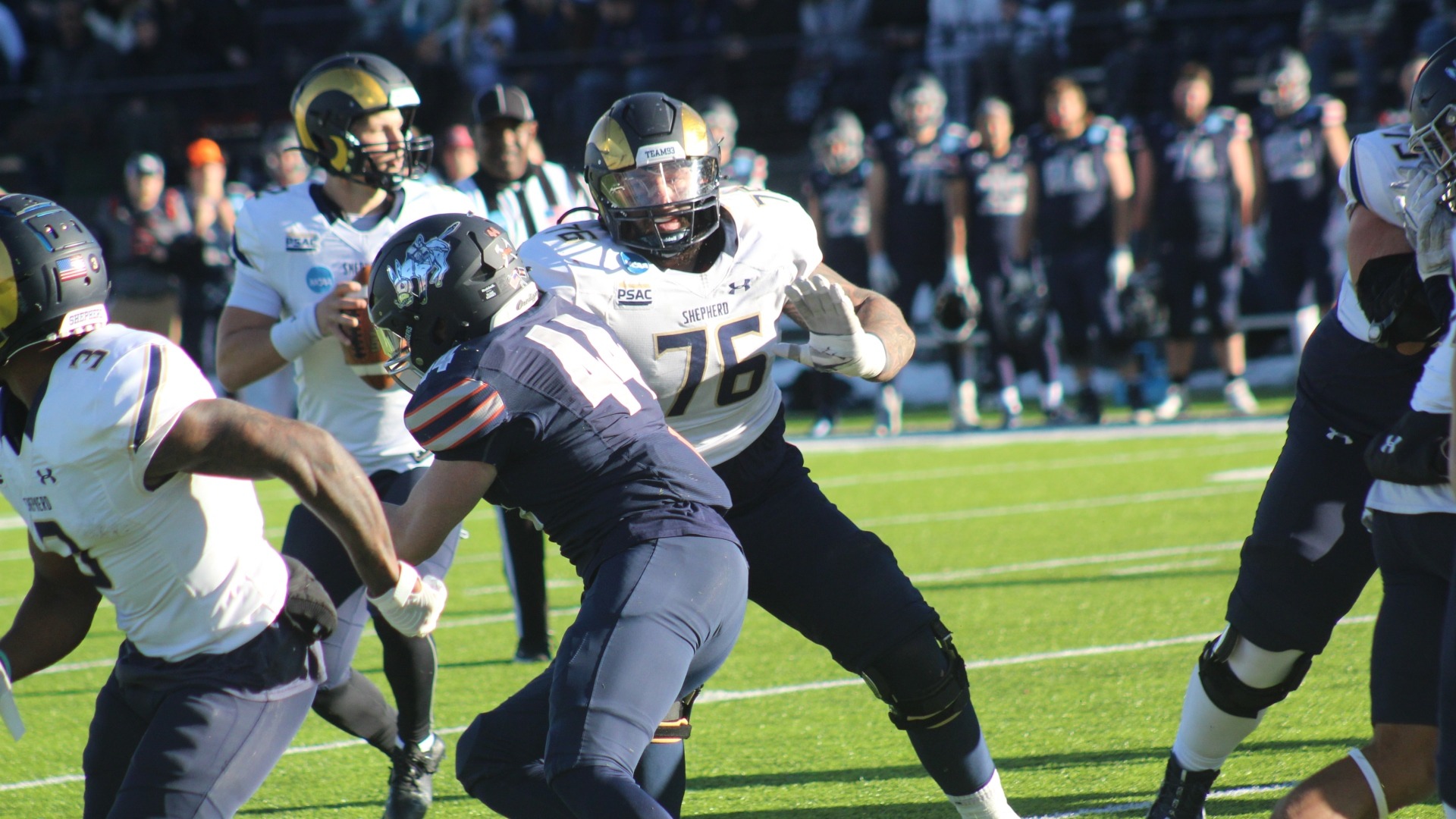 Joey Fisher - Football - Shepherd University Athletics
