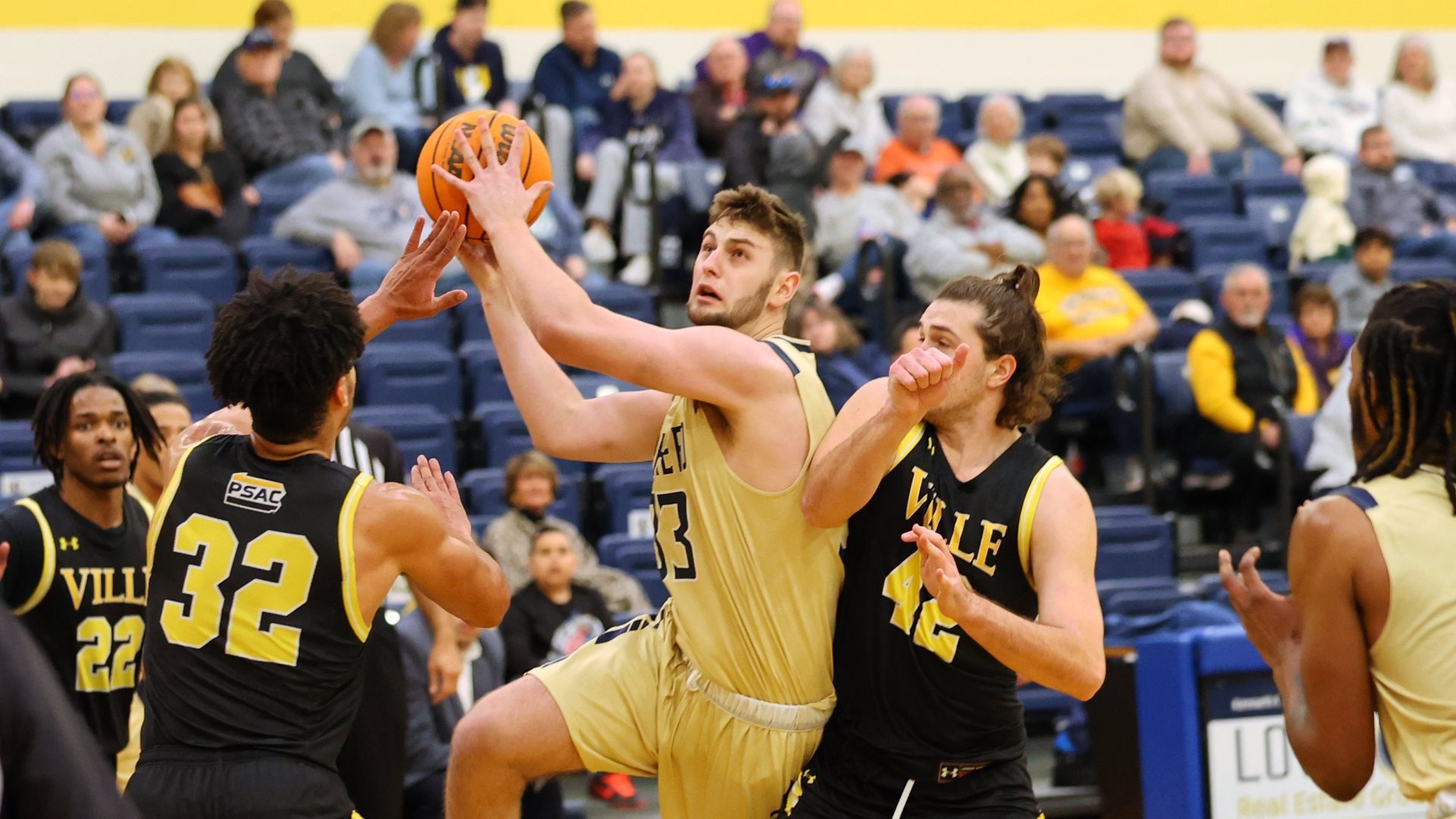 Carson Poffenberger - Men's Basketball - Shepherd University Athletics