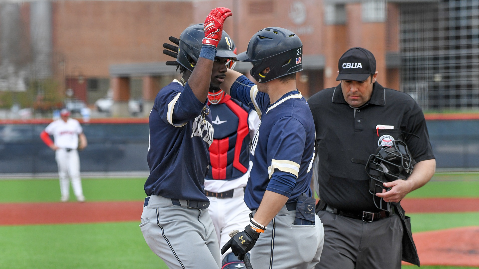 Shepherd Baseball Splits with Shippensburg - Shepherd University Athletics