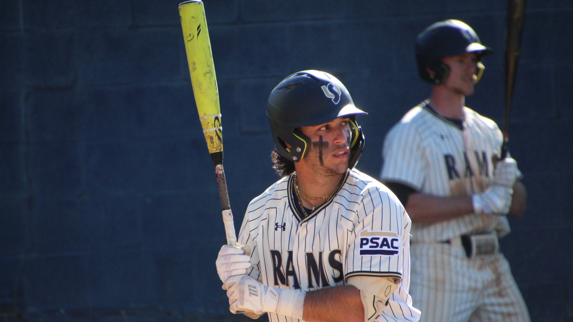 Greg Borges - Baseball - Shepherd University Athletics