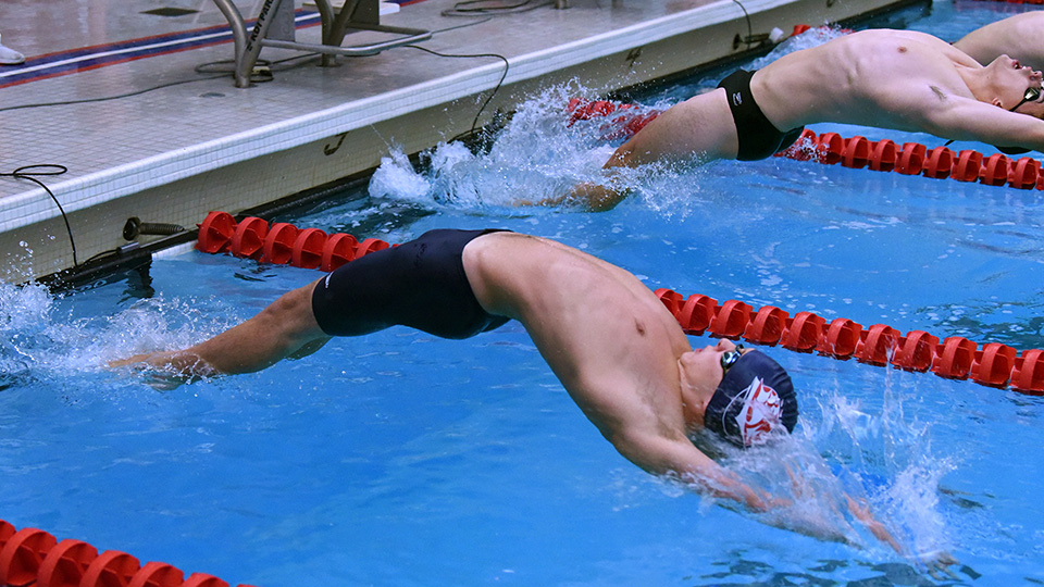 Austin Sheppard - 2018-19 - Men's Swimming - Shippensburg University ...