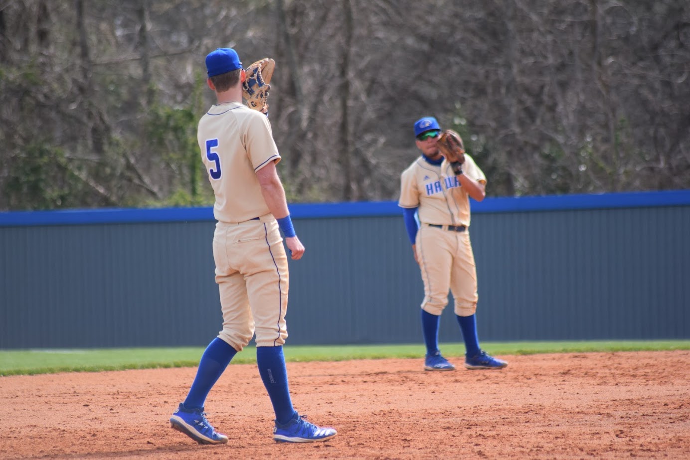 Hawks victorious over #3 Lee in extra innings - Shorter University ...