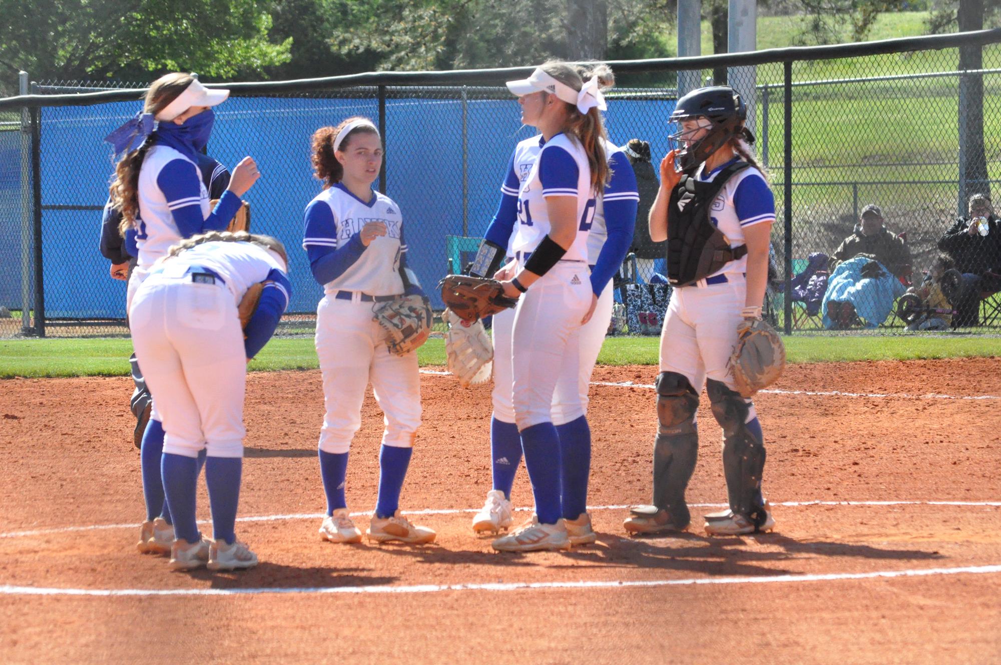 Lady Hawks drop two to #3 Nighthawks - Shorter University Athletics