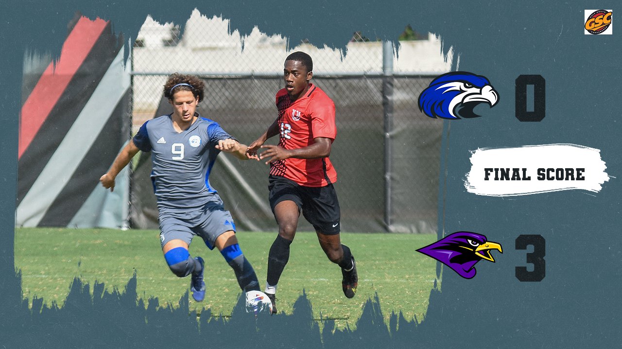 Hawks Fall to Falcons - Shorter University Athletics