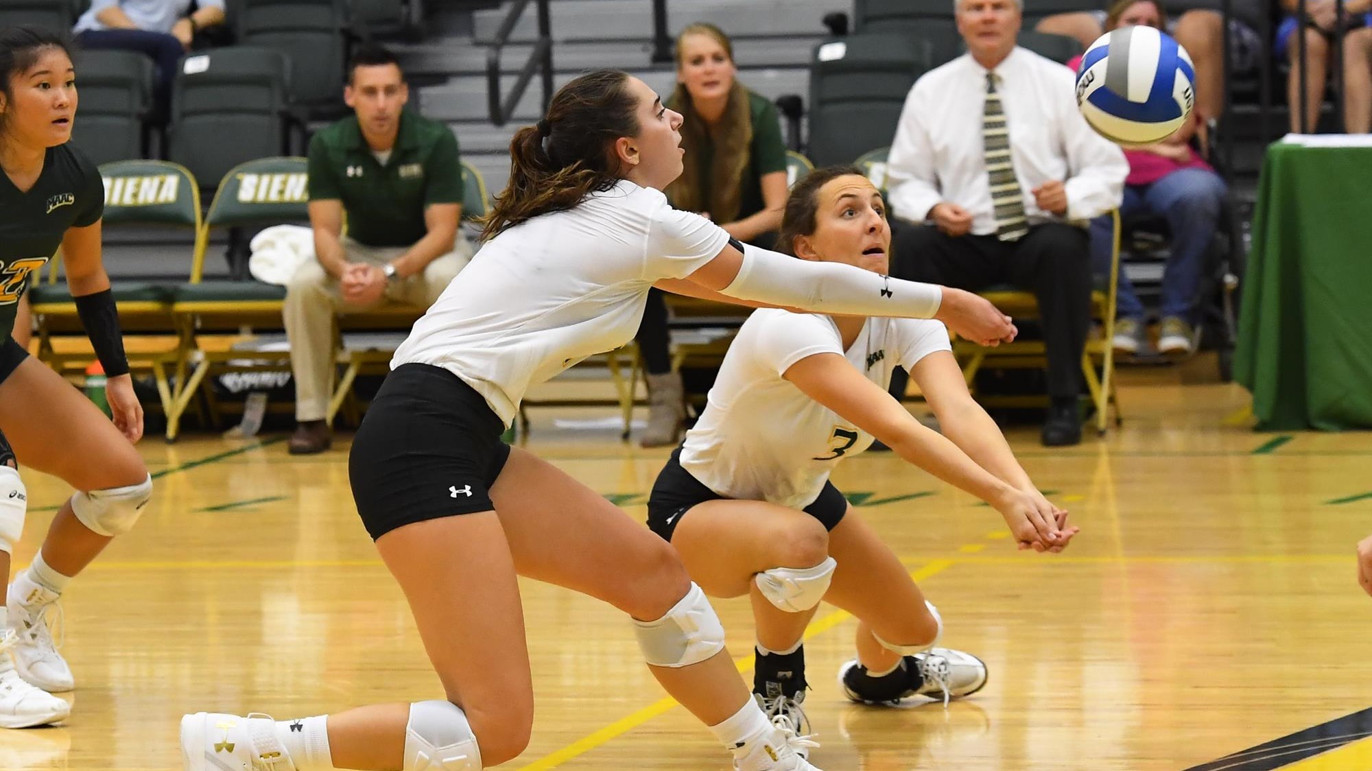 Katarina Nicic - Women's Volleyball - Siena College Athletics