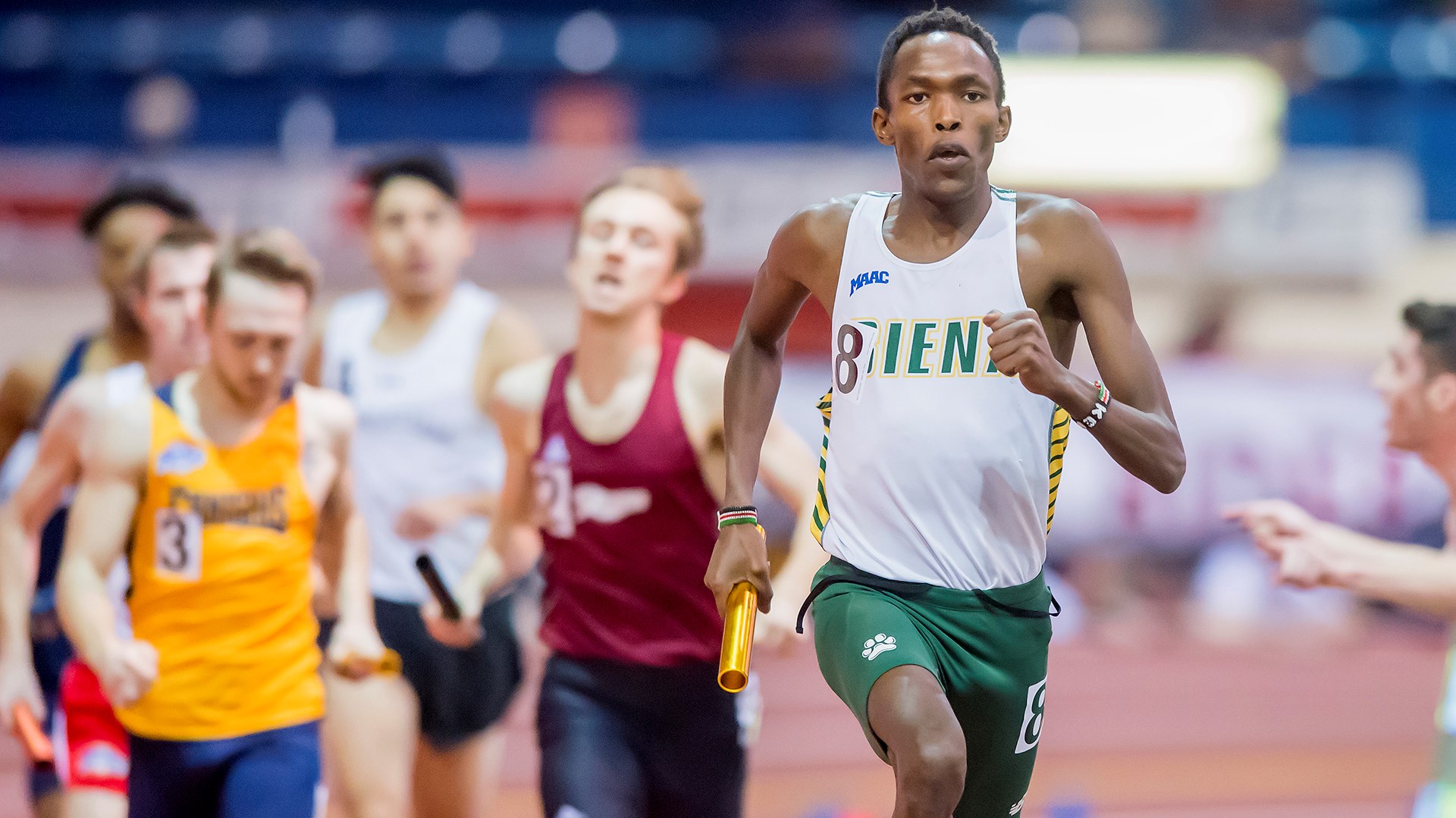 Kibet Breaks School Record at BU Season Opener - Siena College Athletics