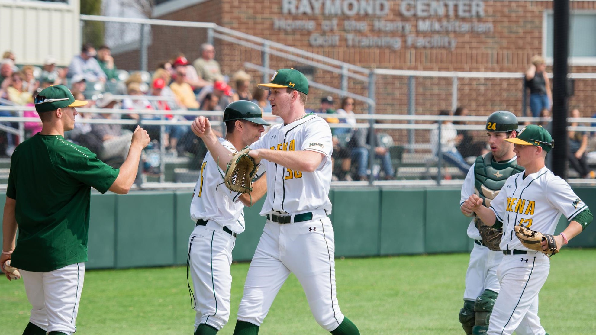 Dylan D'Anna - Baseball - Siena College Athletics