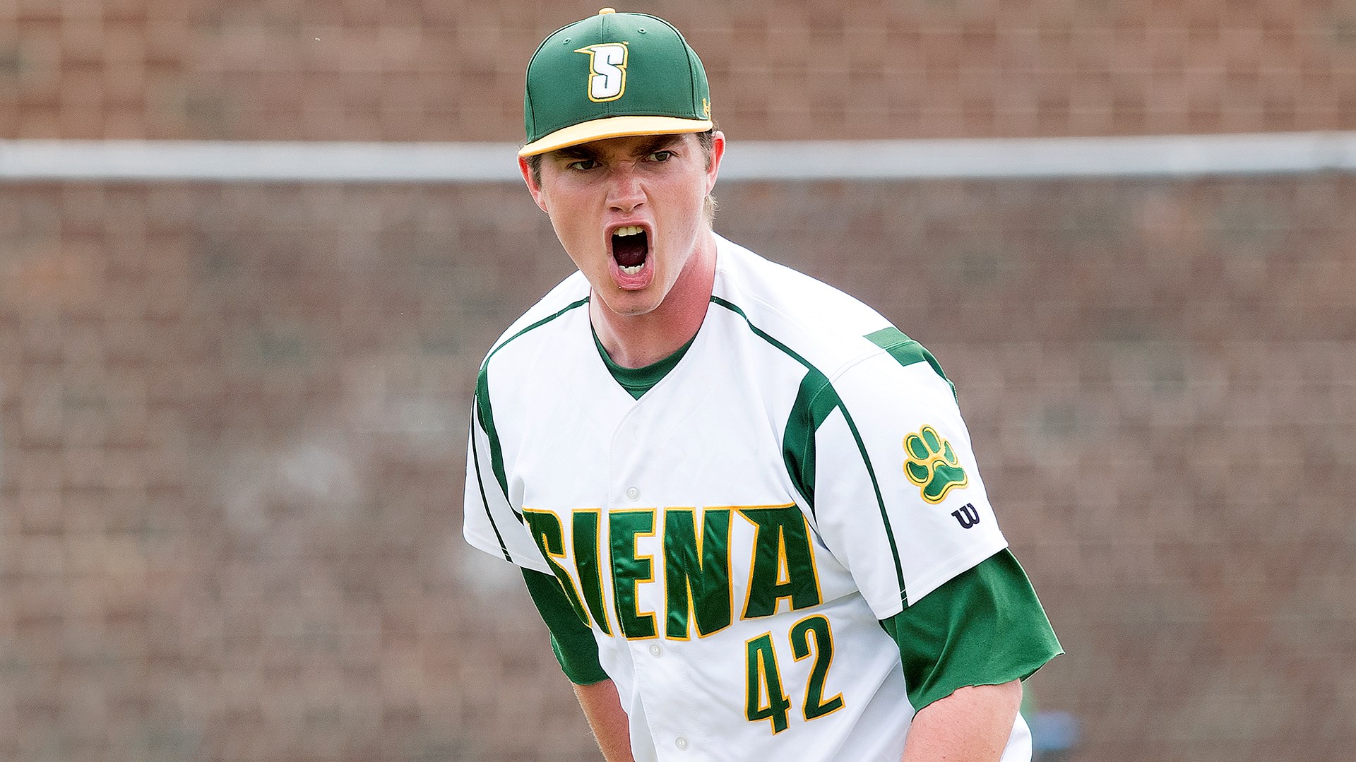 Tommy Miller - Baseball - Siena College Athletics