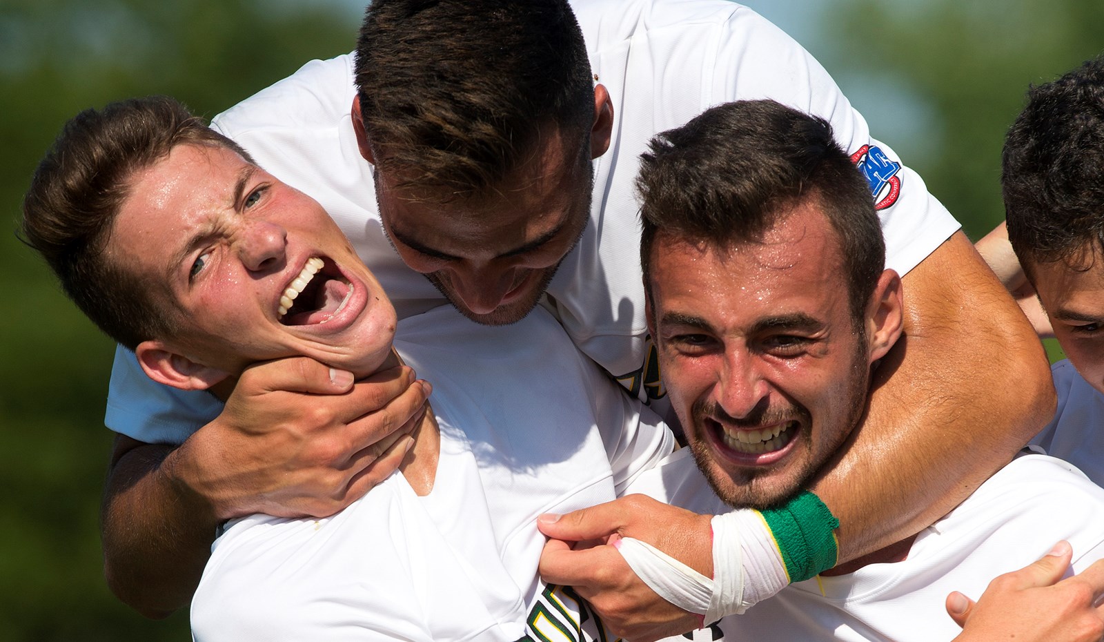 Matt Crisafulli - Men's Soccer - Siena College Athletics