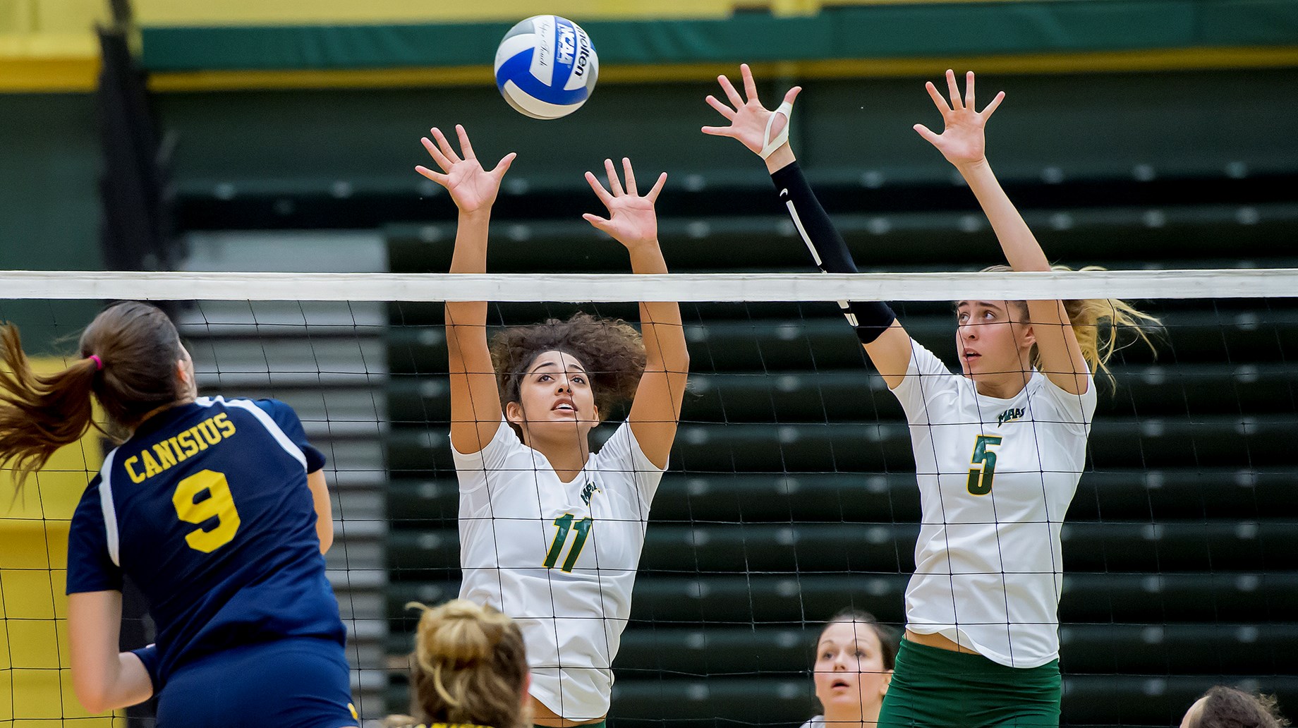 Kelly Chaney - Women's Volleyball - Siena College Athletics