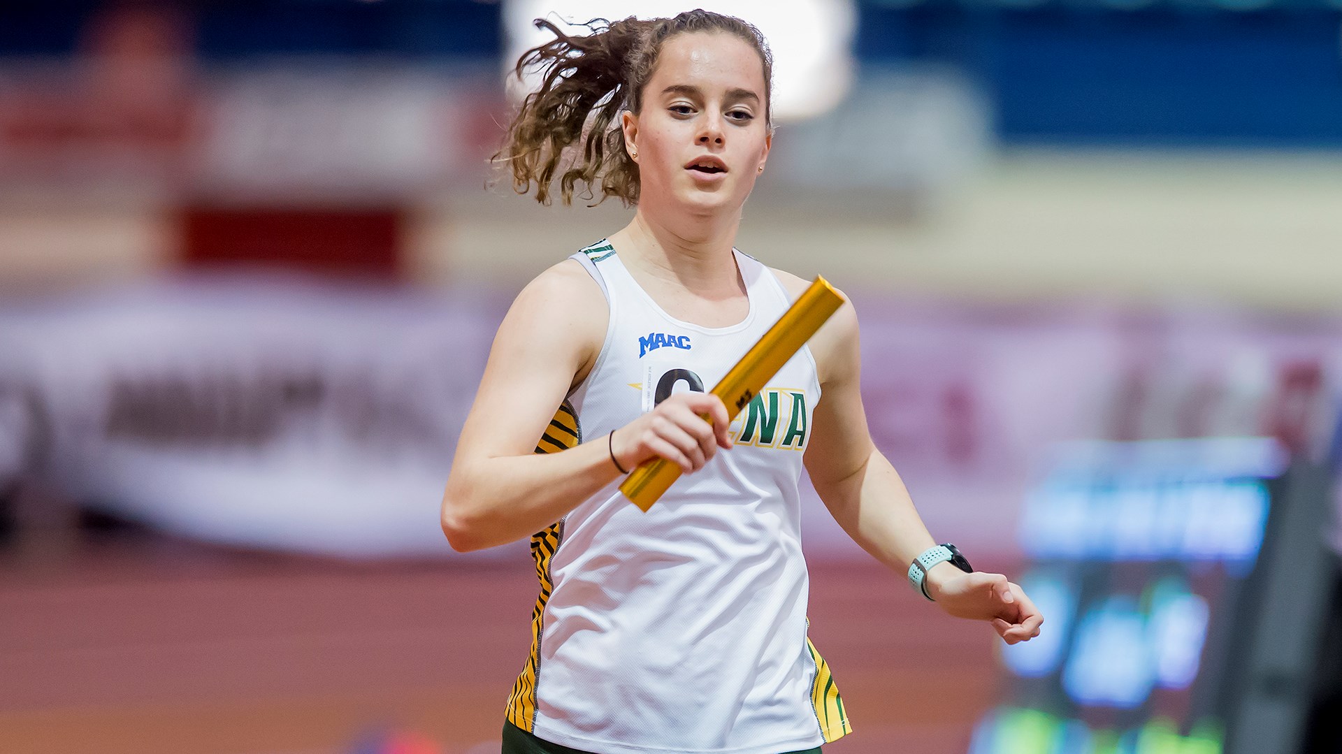 Shannon Bergin - XC/Track - Siena College Athletics