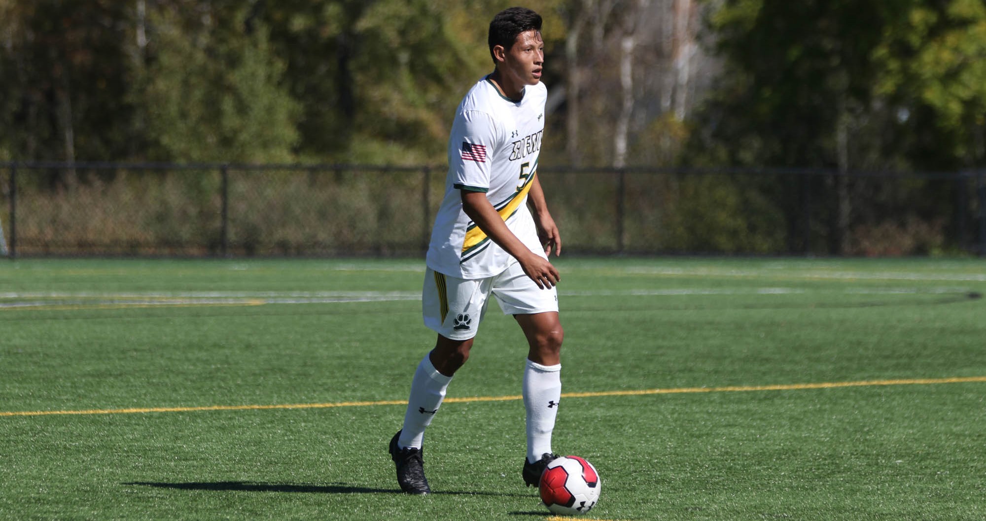 Jacob Pacheco - Men's Soccer - Siena College Athletics