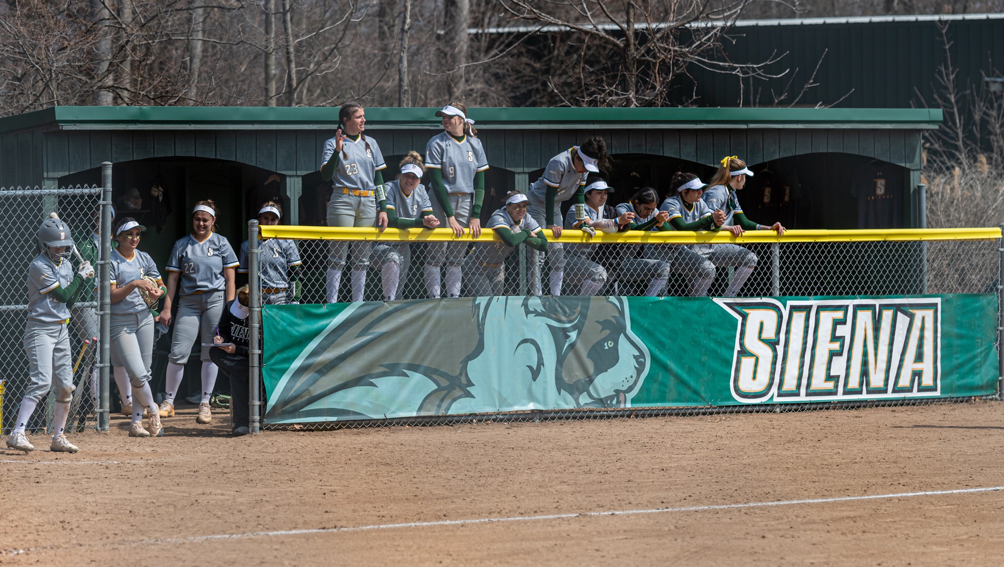 Softball Places 11 on MAAC All-Academic Team - Siena College Athletics