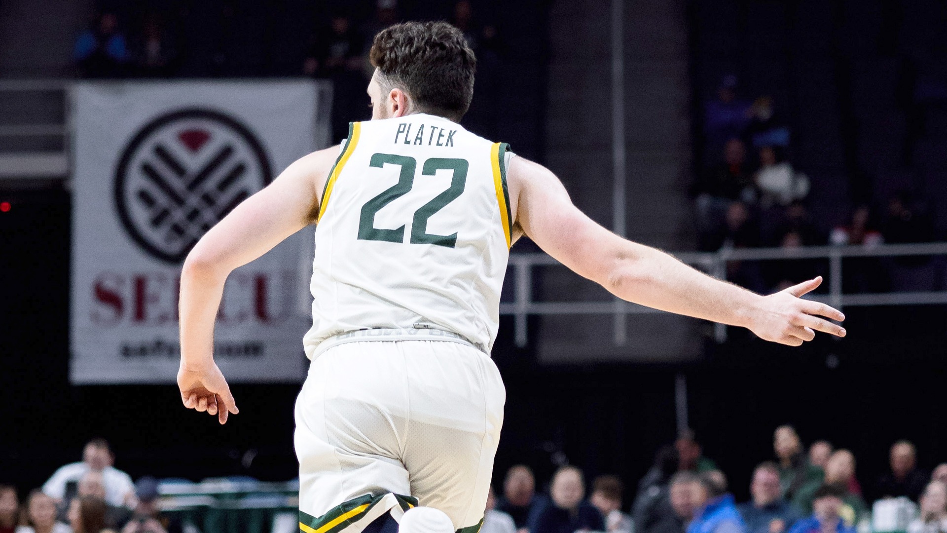 Andrew Platek - Men's Basketball - Siena College Athletics