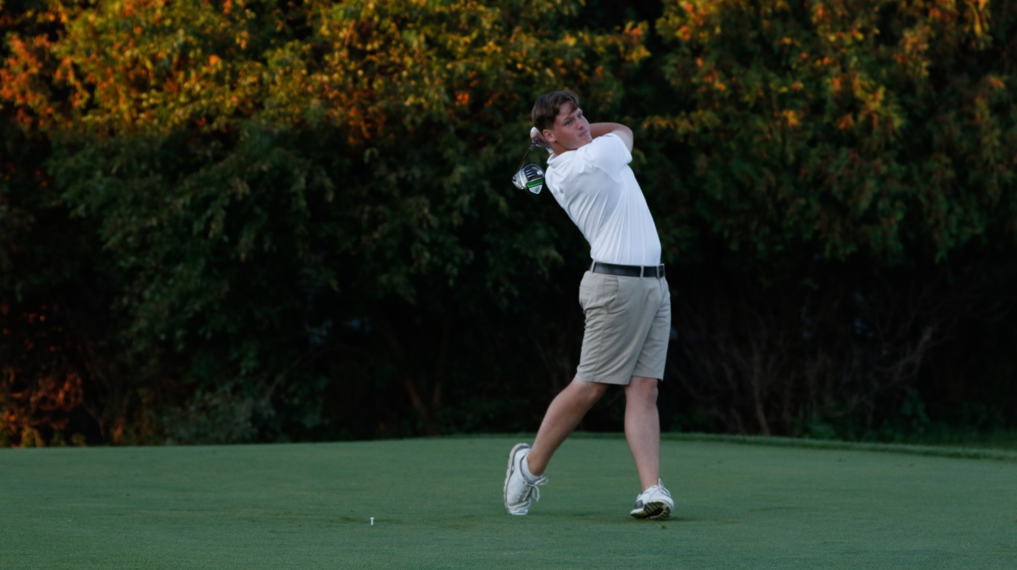 Matthew Ferrari - Men's Golf - Siena College Athletics