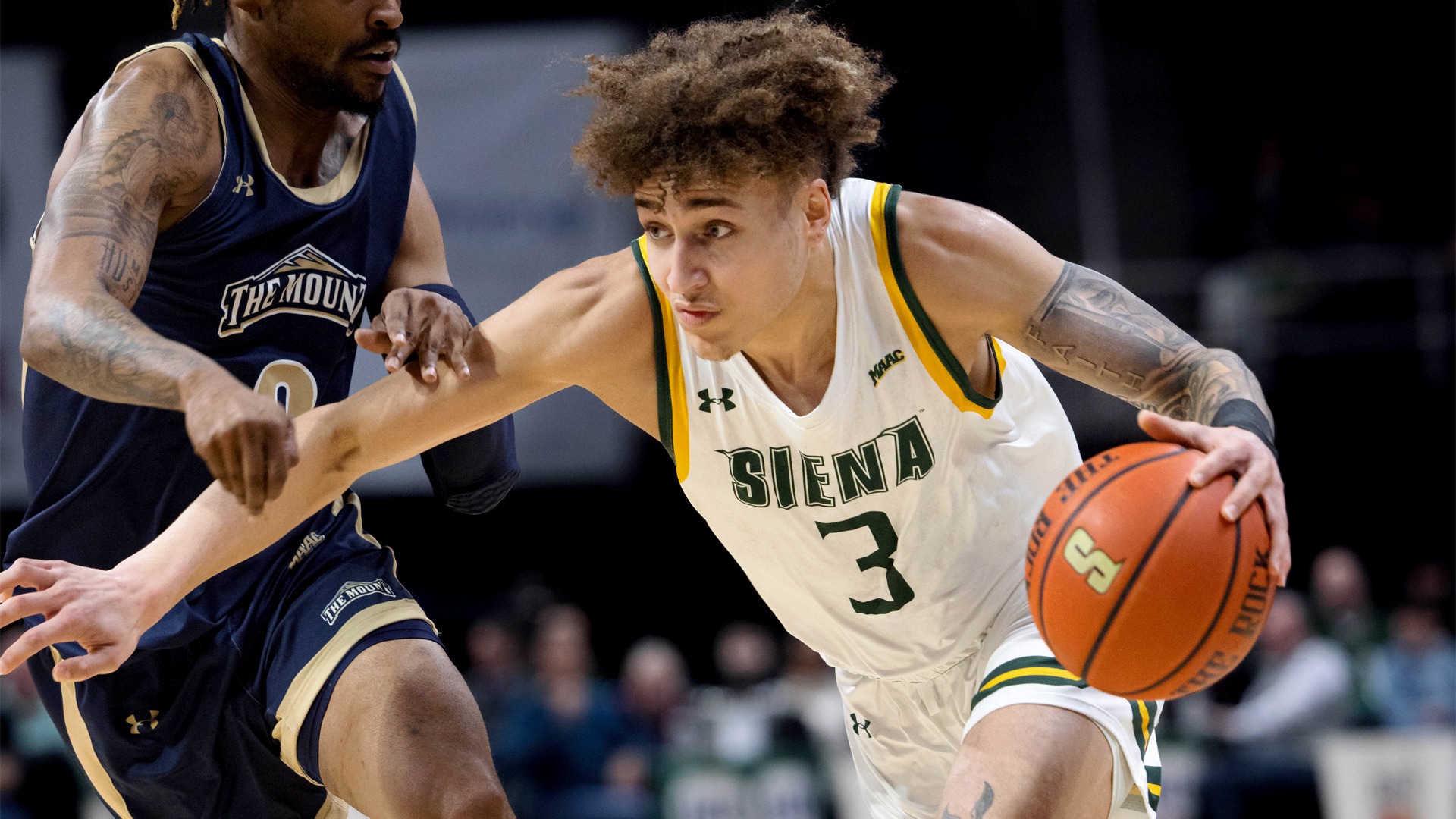 Michael Eley - Men's Basketball - Siena College Athletics