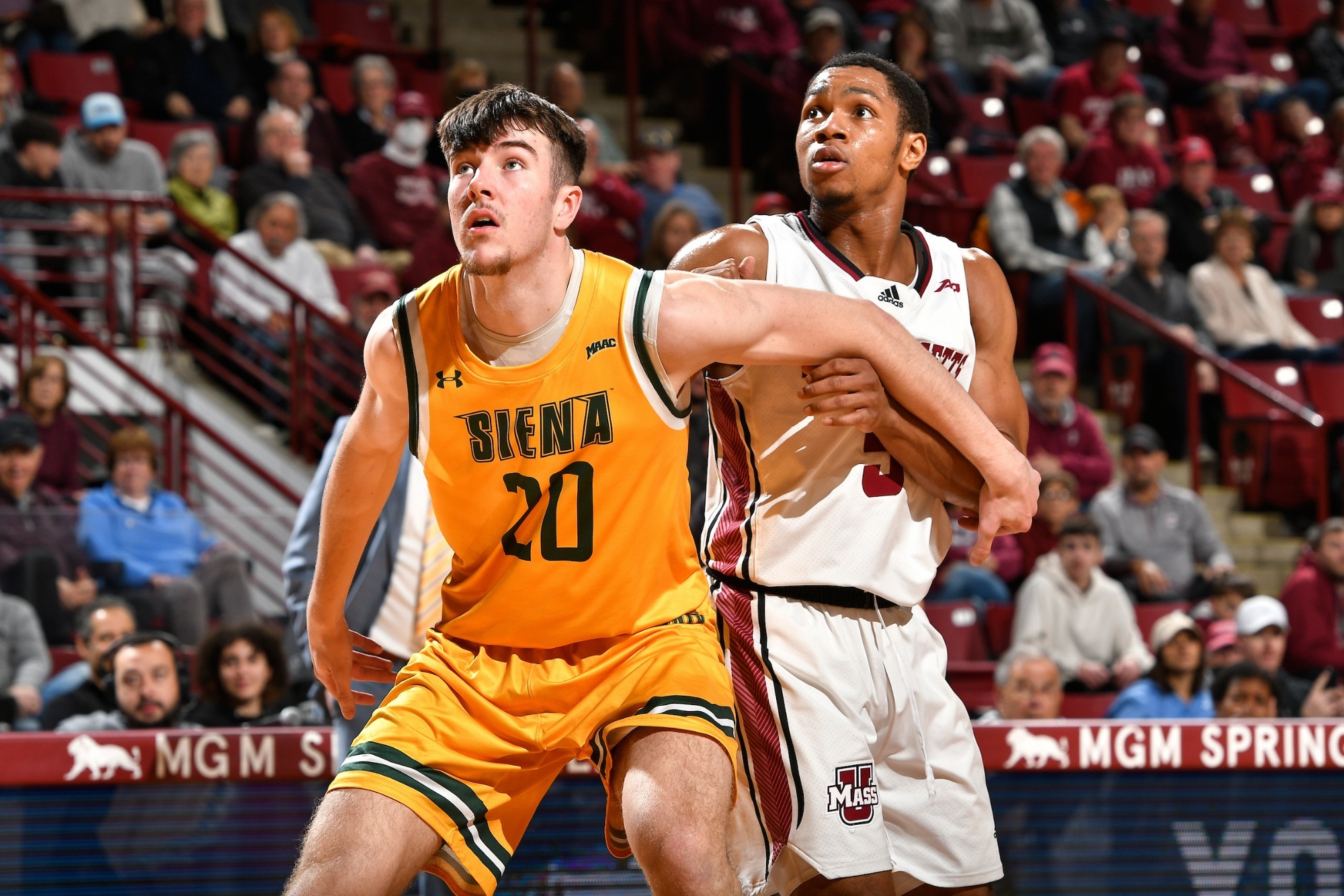 Killian Gribben - Men's Basketball - Siena College Athletics