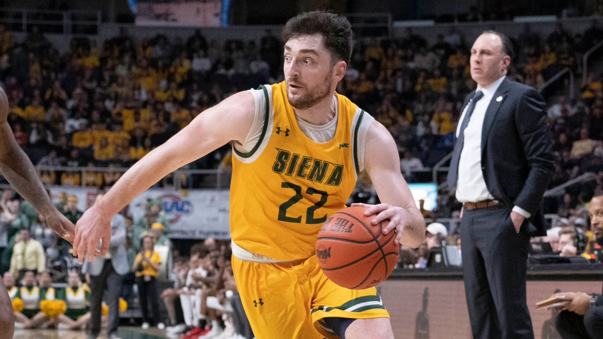 Andrew Platek - Men's Basketball - Siena College Athletics
