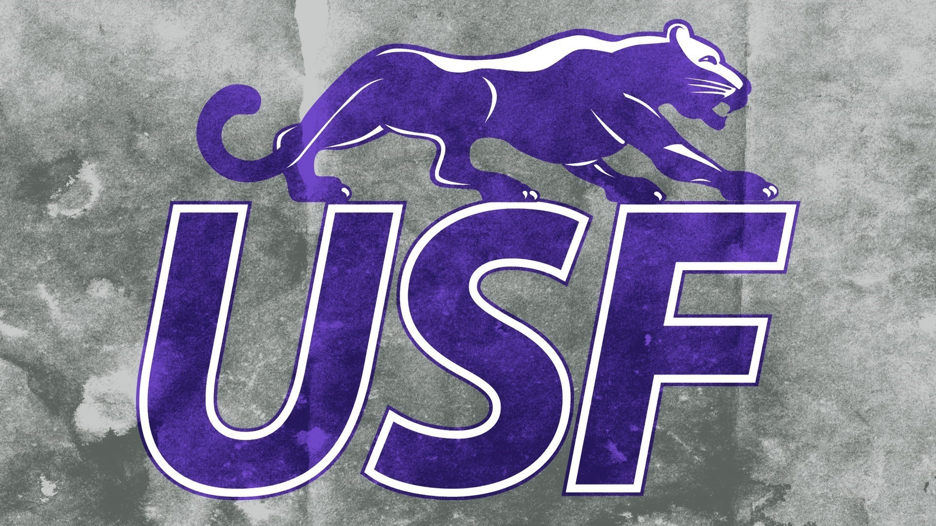 USF Athletics has record 130 student-athletes named D2 ADA Academic ...