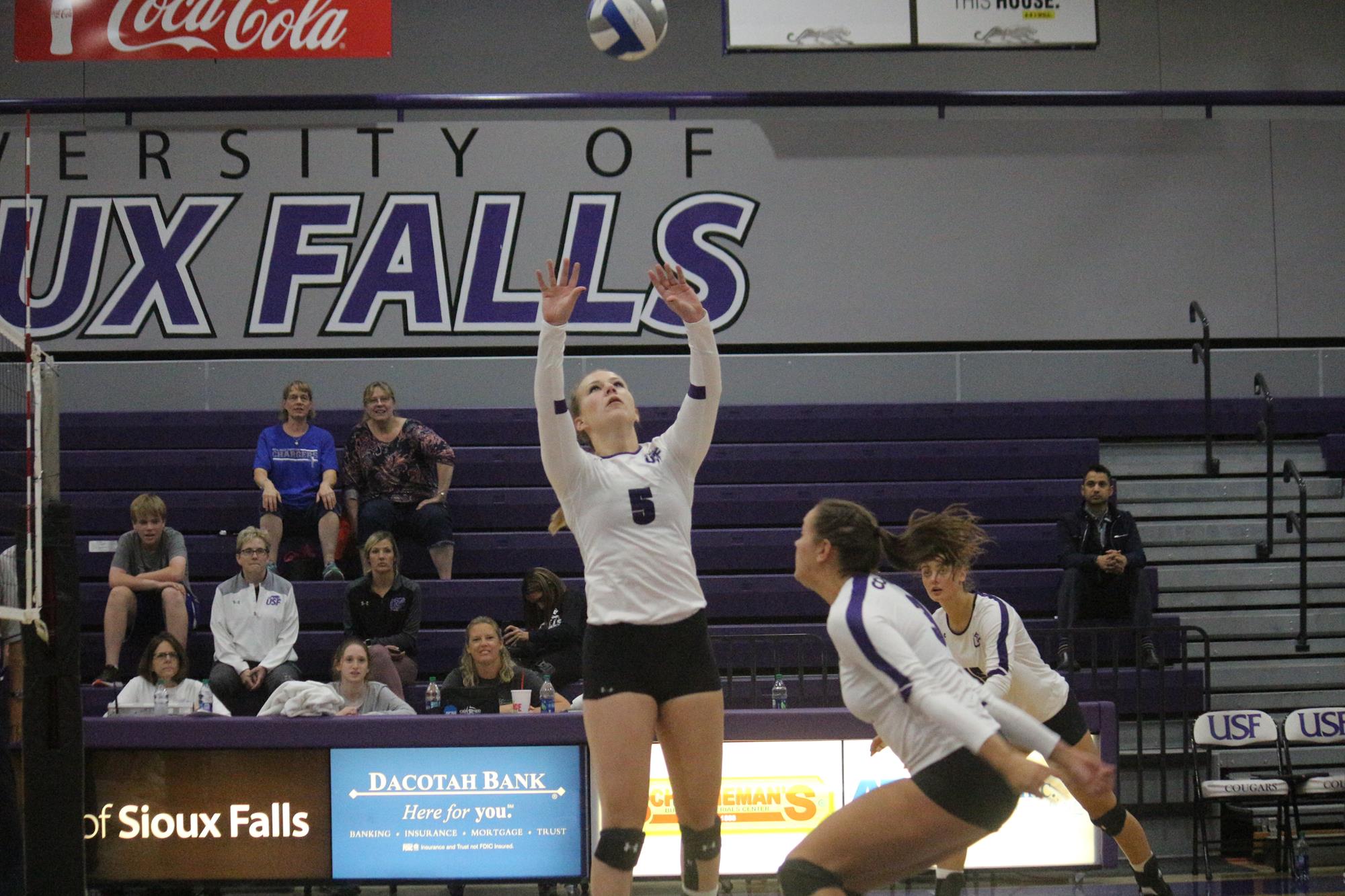 No. 24 USF Volleyball falls in battle with Minnesota State