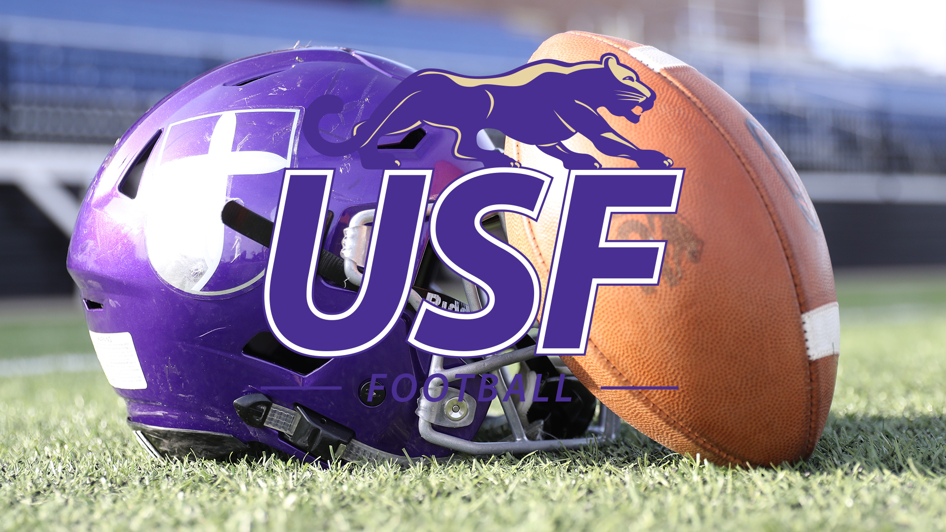 Led by seven selections on the 1st Team, USF Football has 11 All-NSIC ...