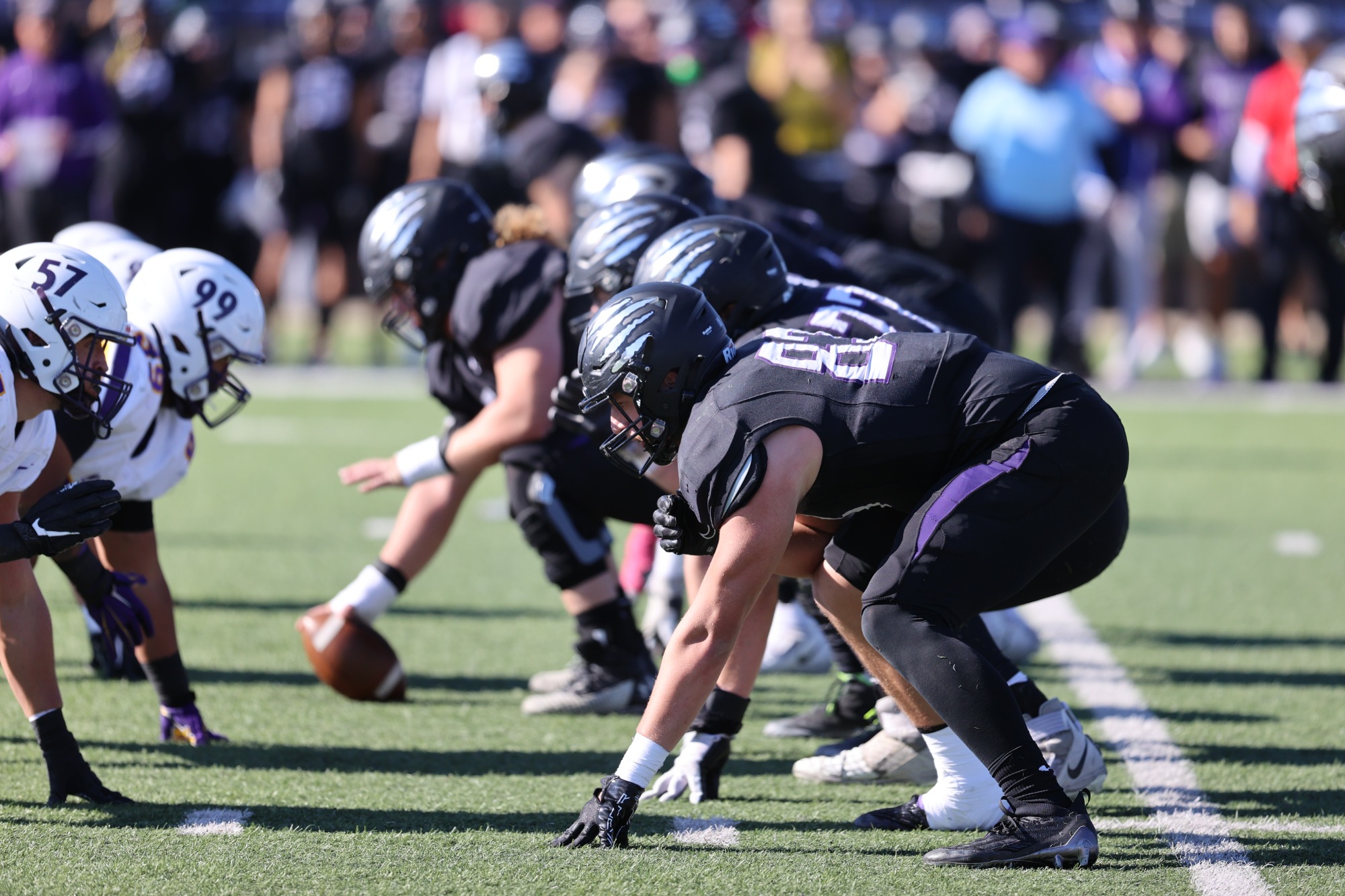 Hunter Schneider - Football - University of Sioux Falls Athletics