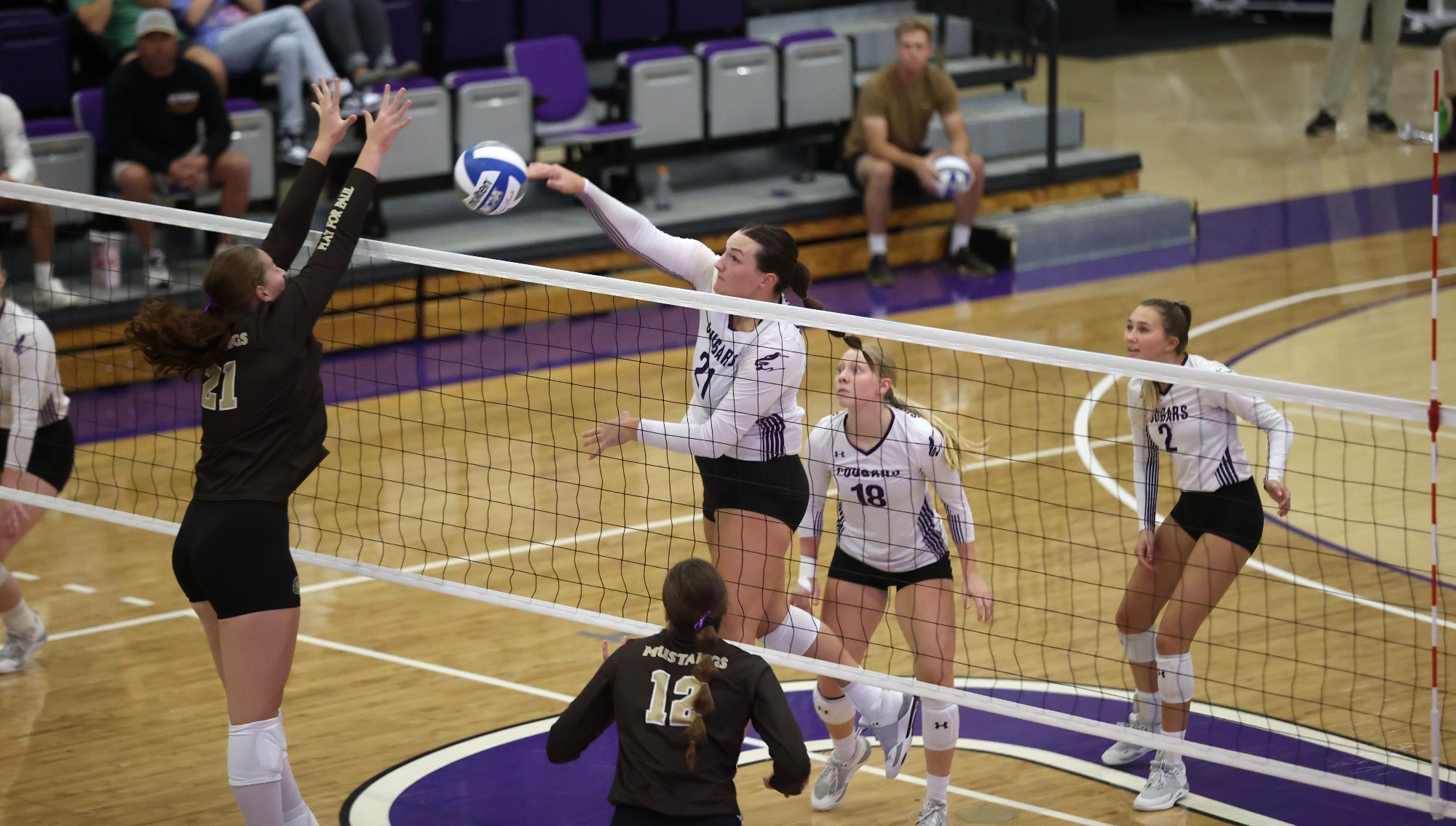 Cougar Volleyball Falls to #11 SMSU in Home Opener