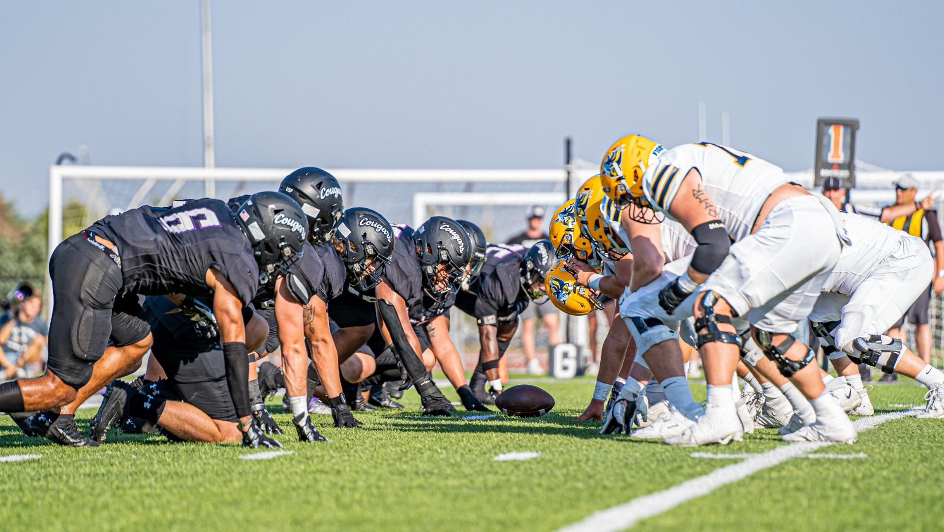 USF Football Lands 13 NSIC All-Conference Honors