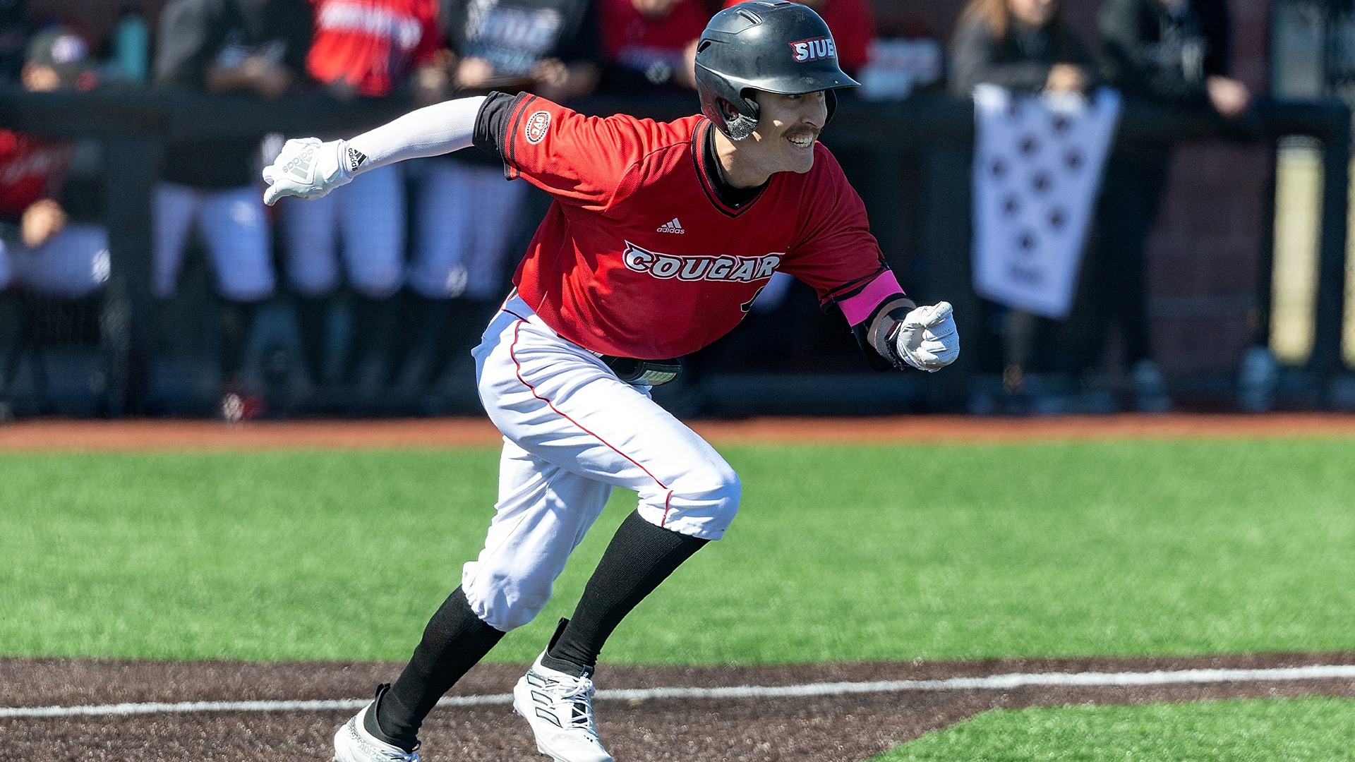 Drew Mize - 2024 - Baseball - SIUE